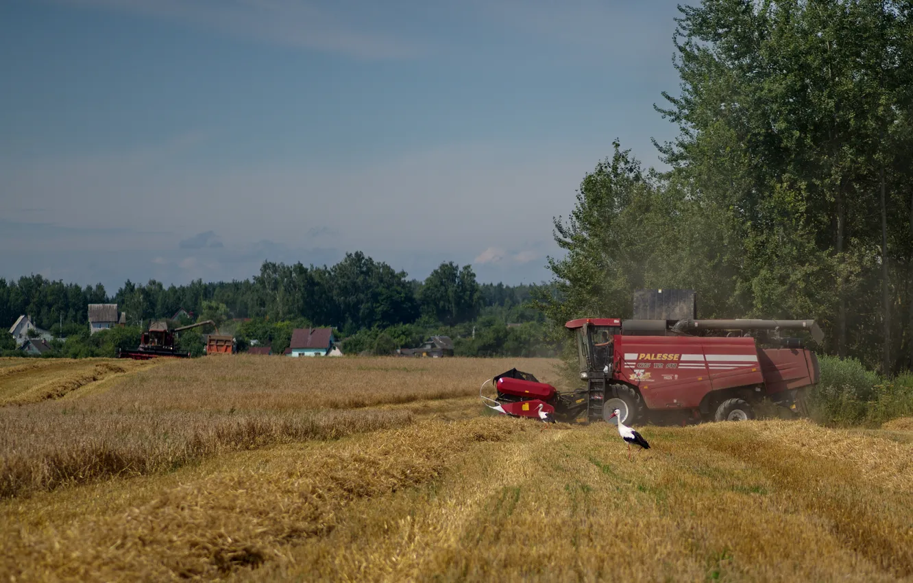 Wallpaper summer, bird, stork, harvester, Strada, harvesting for mobile ...