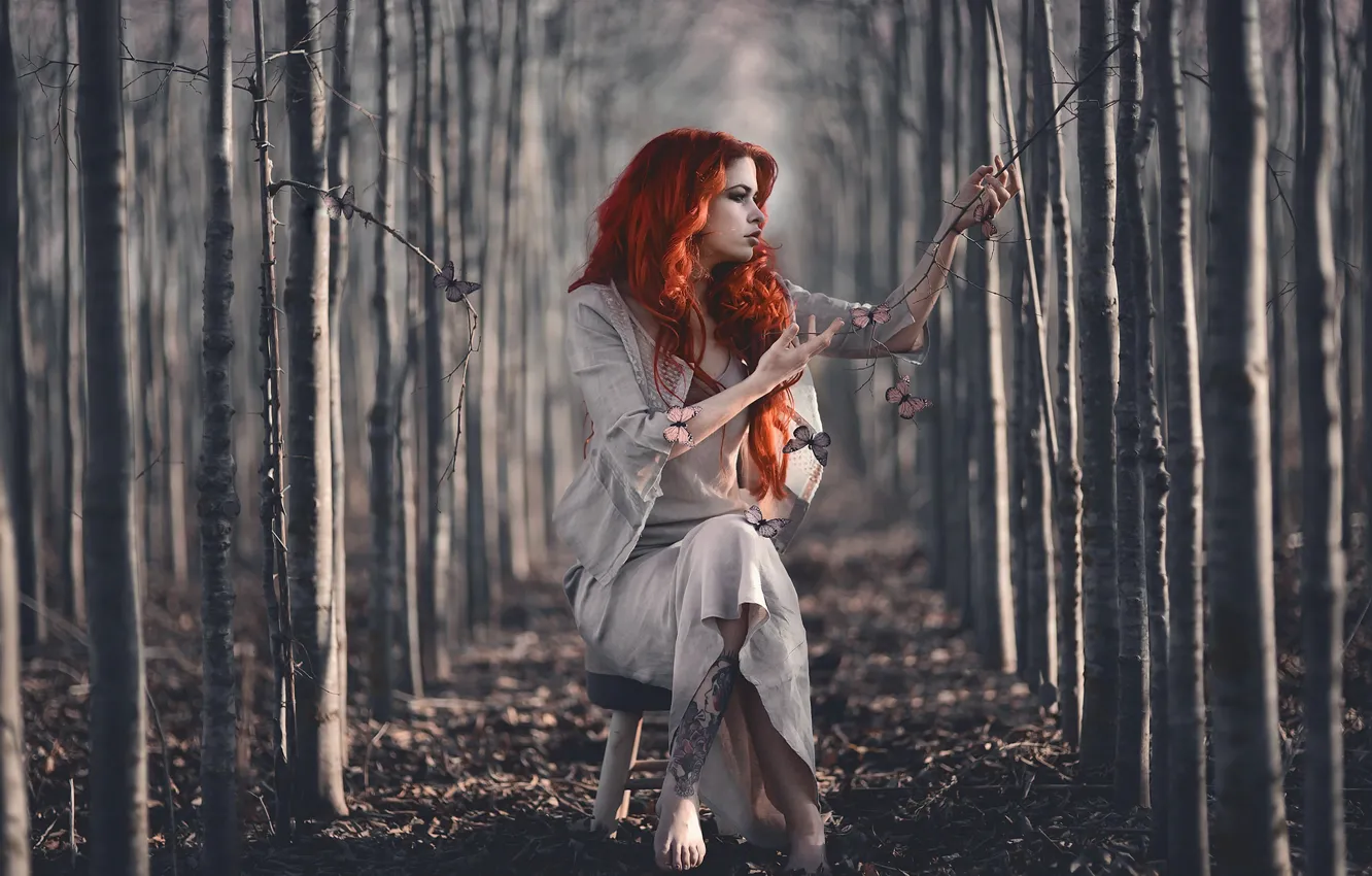 Wallpaper forest, girl, nature for mobile and desktop, section девушки ...