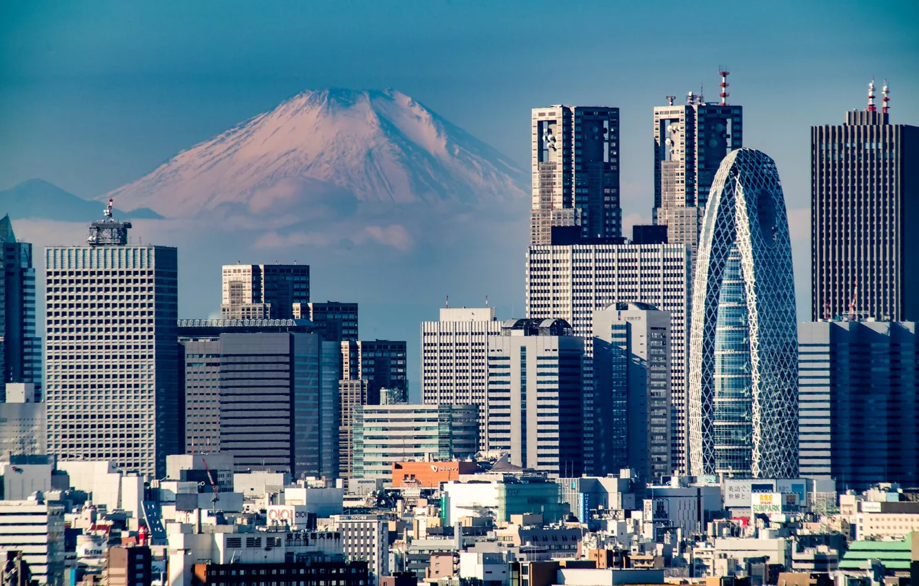 Wallpaper the city, building, skyscrapers, the volcano, panorama for ...