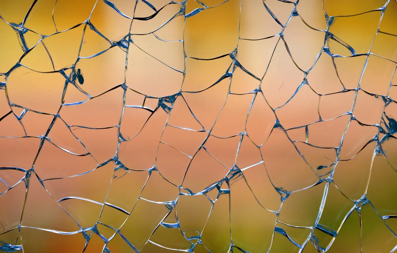 Wallpaper glass, background, texture images for desktop, section ...