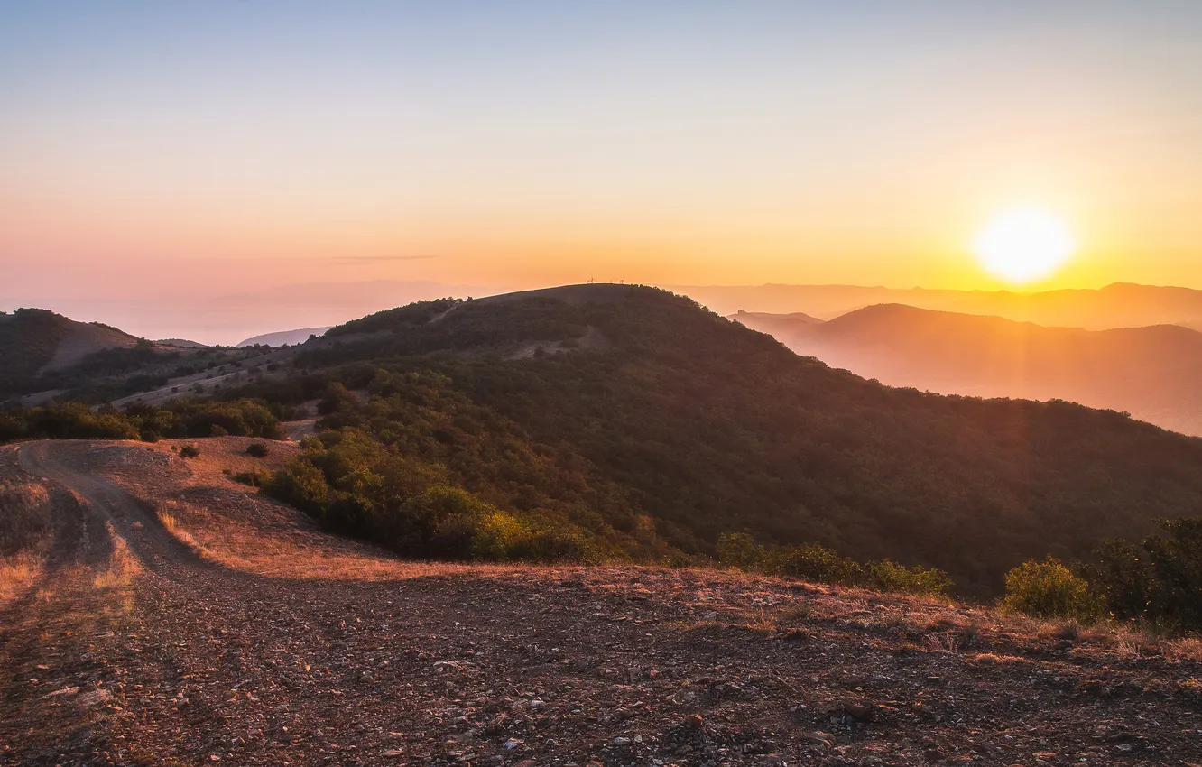 Wallpaper sunset, sun, shadows, plants for mobile and desktop, section ...