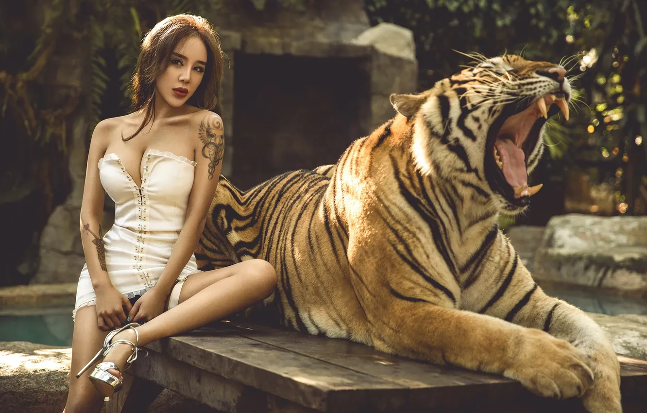 Wallpaper tiger, women, asian, high heels, Li Jiao, Aleo for mobile and desktop, section девушки ...