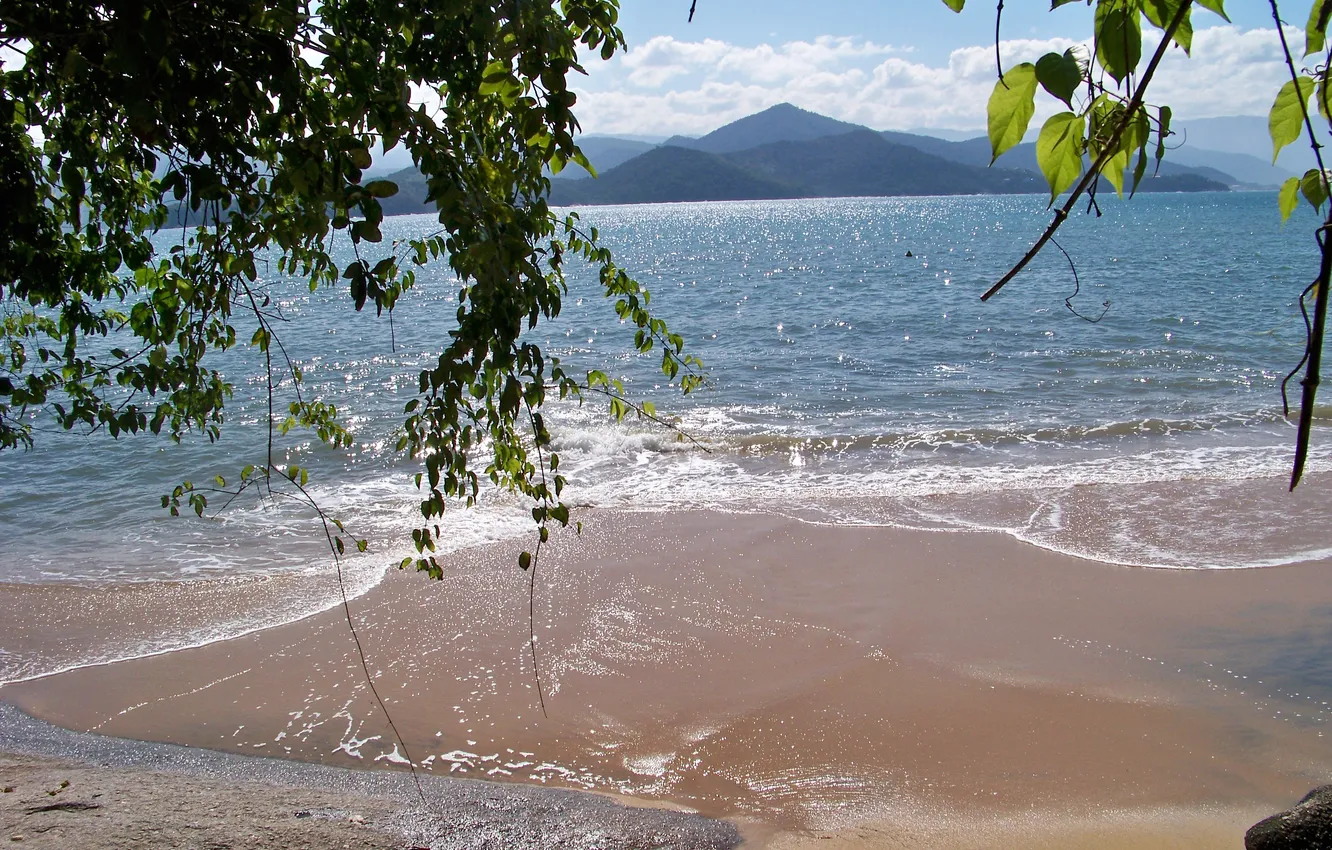 Wallpaper Brazil, Ubatuba, Anchieta Island, Beach-2 for mobile and ...