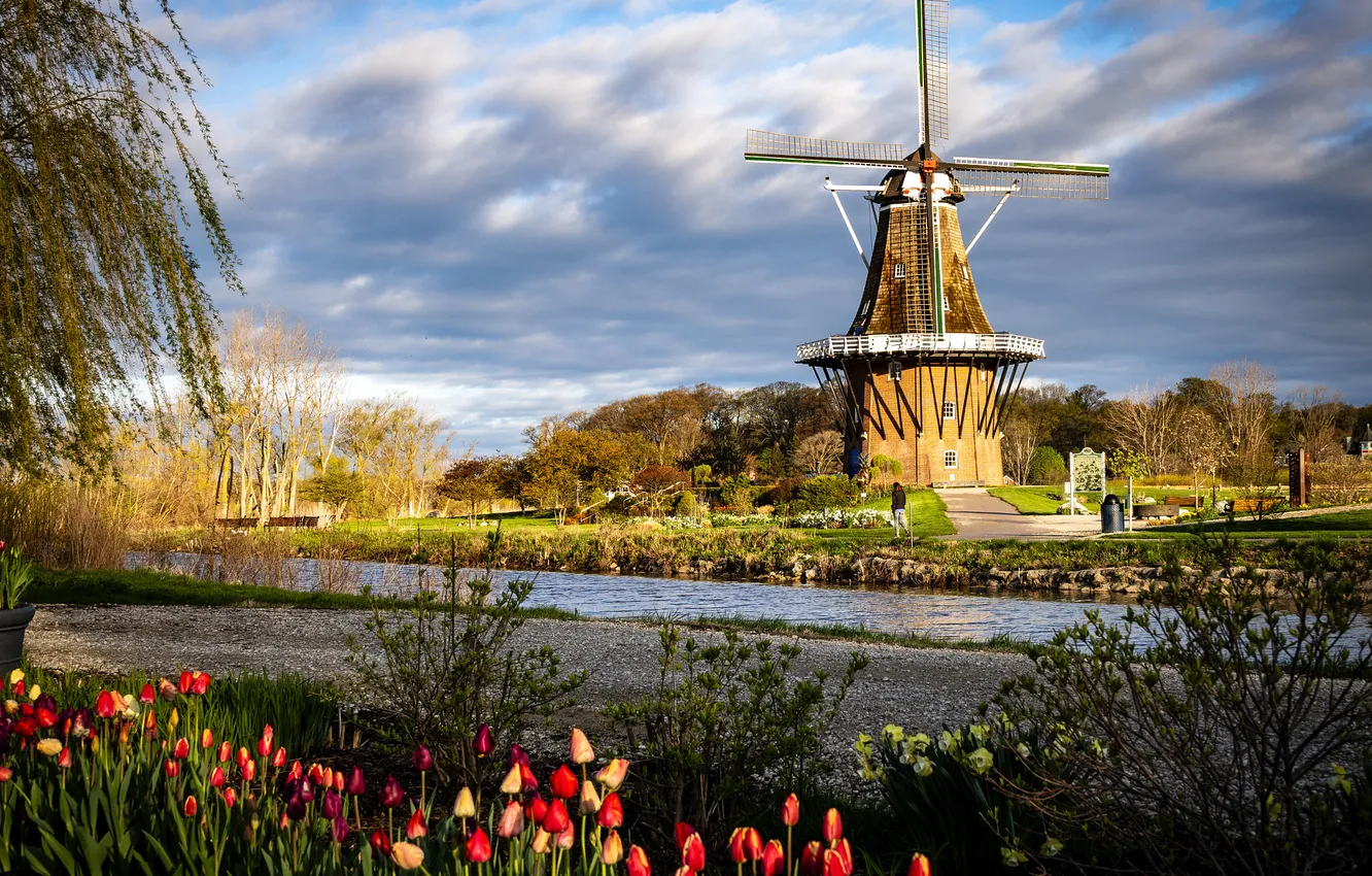 Wallpaper flowers, shore, spring, tulips, pond, windmill for mobile and ...
