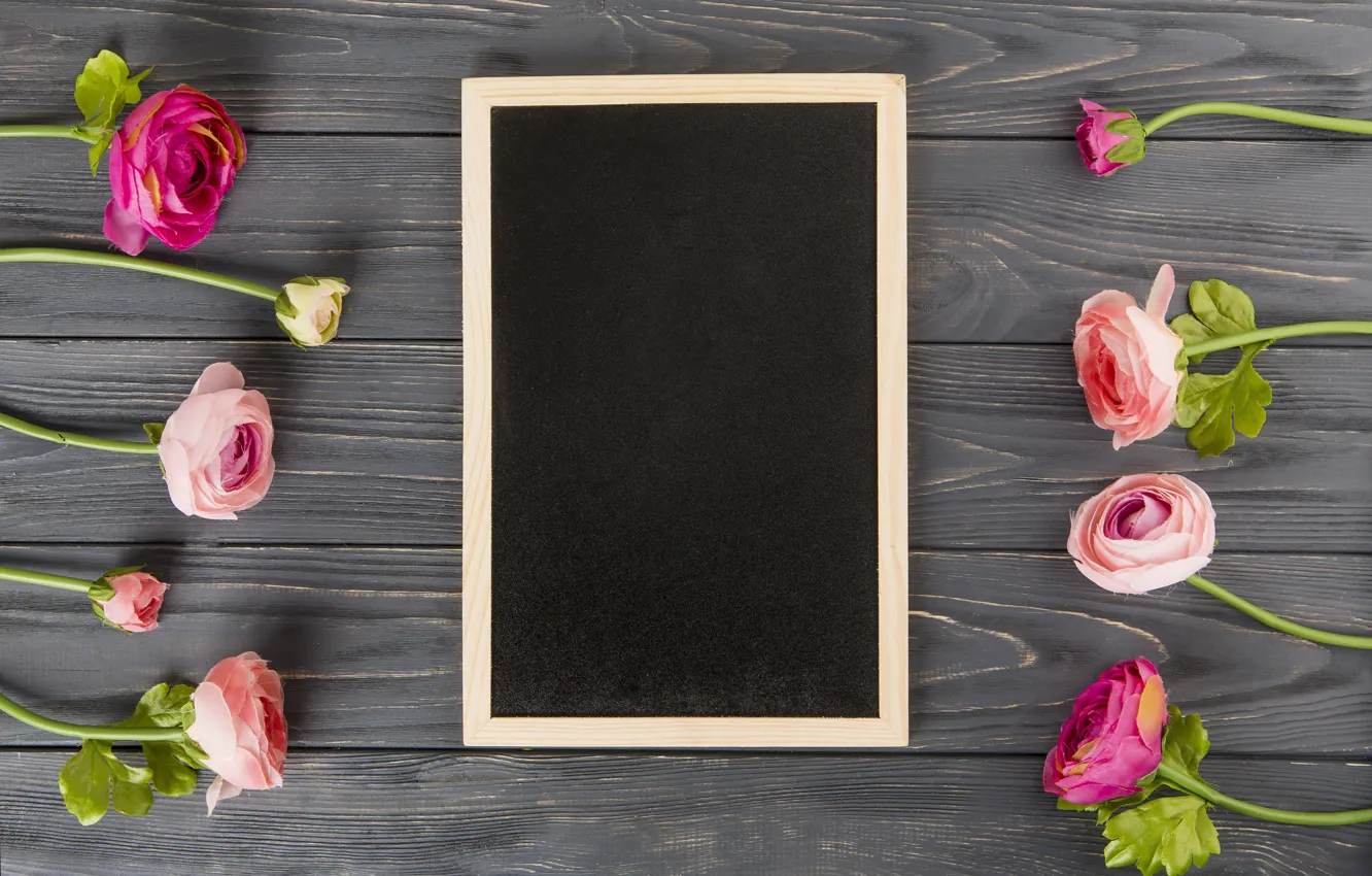 Wallpaper flowers, roses, frame, pink, wood, pink, flowers, beautiful ...