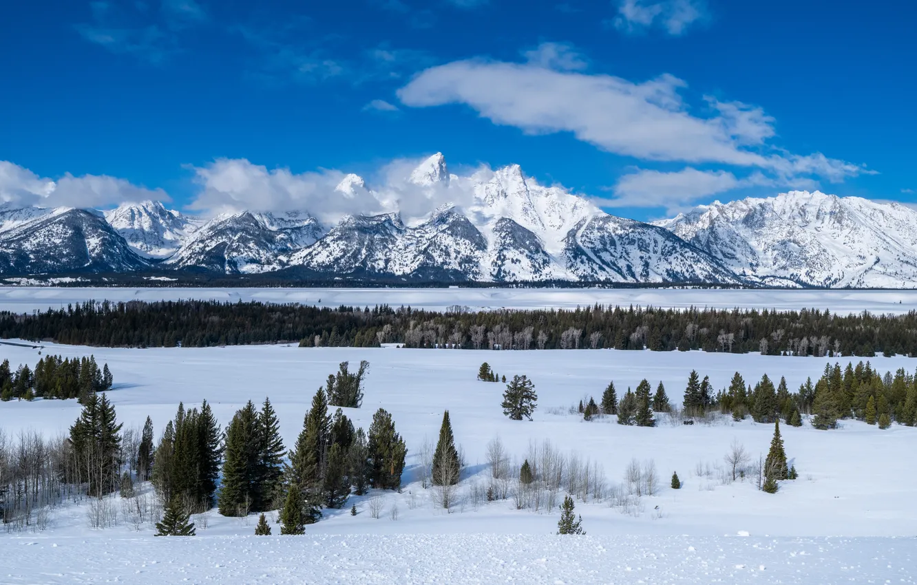 Wallpaper winter, snow, mountains, USA, Grand Teton National Park for ...