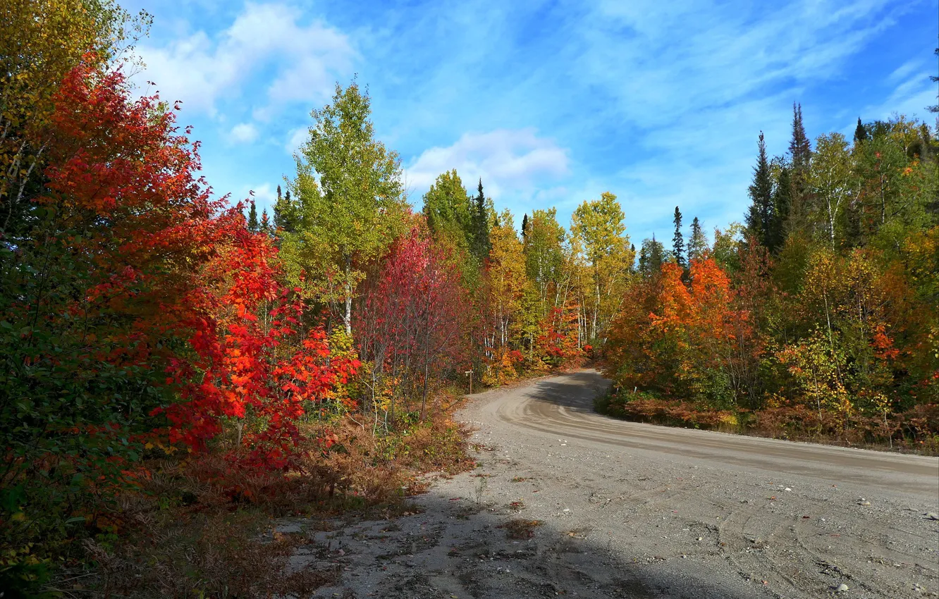 Wallpaper road, autumn, forest, leaves, the sun, Alain Audet for mobile ...
