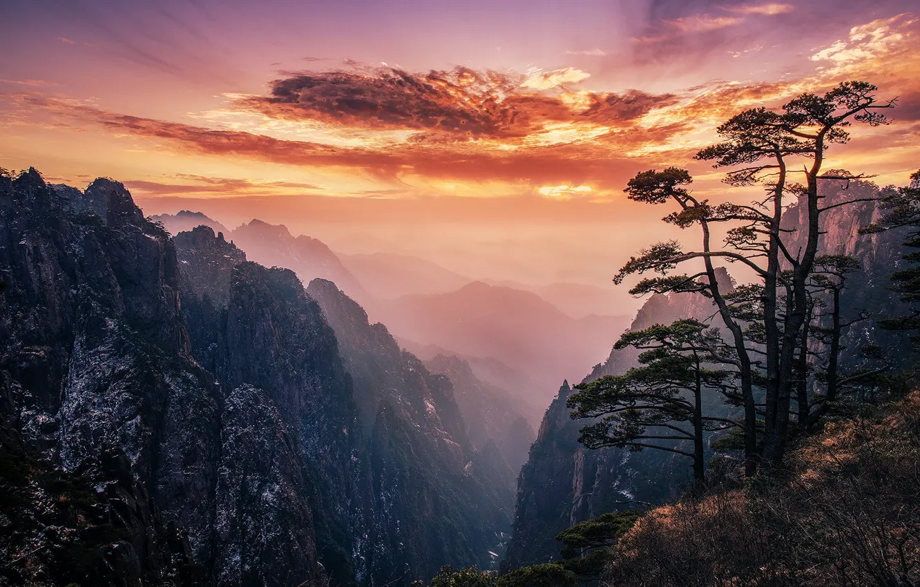 Wallpaper clouds, trees, mountains, fog, rocks, dawn, height, dal for ...