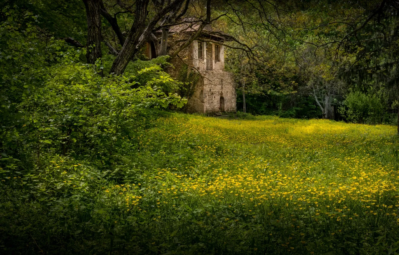 Wallpaper abandoned house, Georgia, Nadezhda Demkina, the Monastery of ...