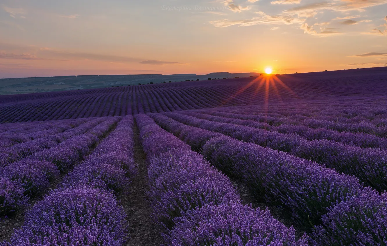 Wallpaper sunset, lavender, violet for mobile and desktop, section ...
