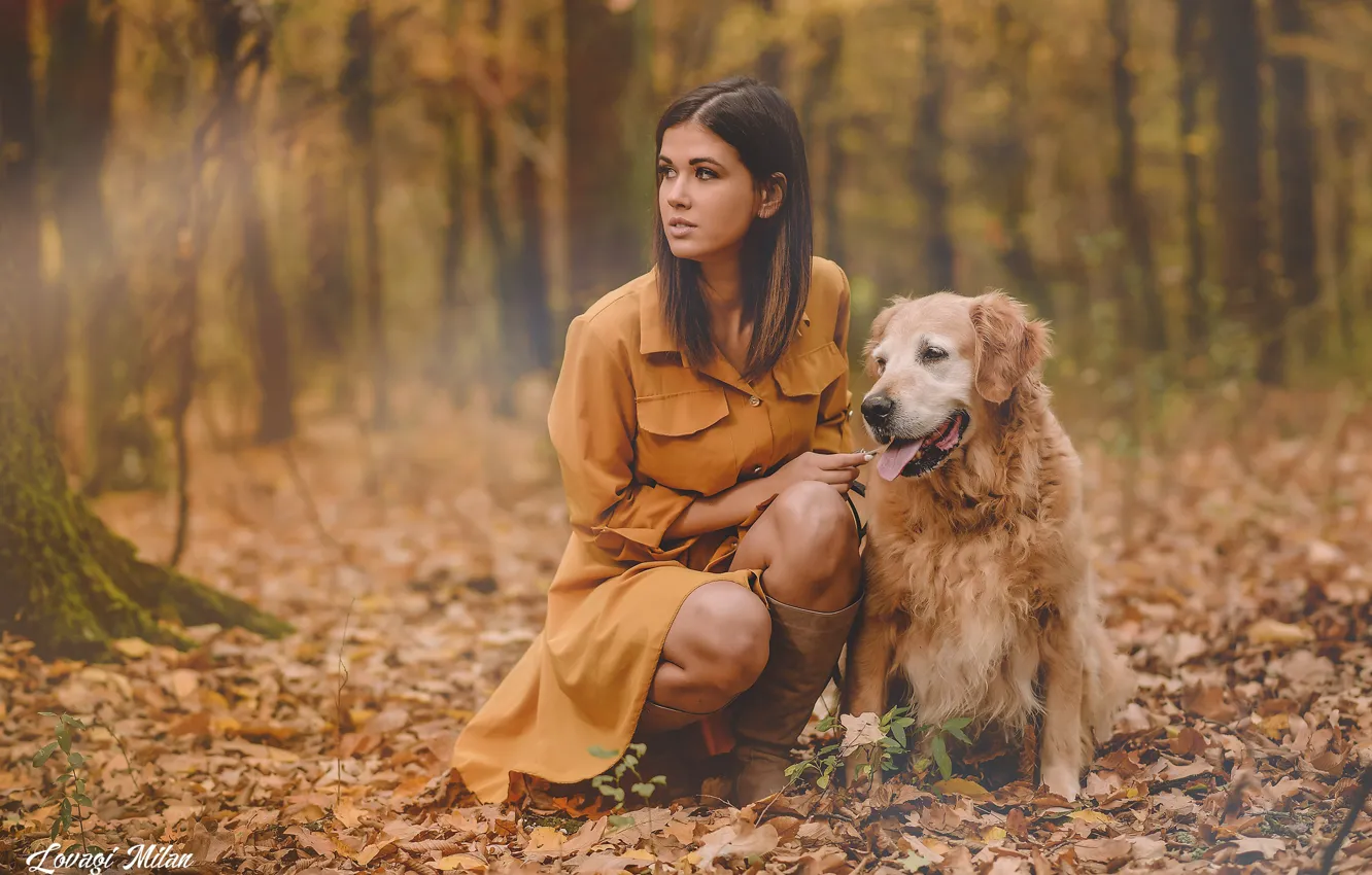Wallpaper FOREST, LEAVES, AUTUMN, Evi Model, SABAKA, Photographer ...