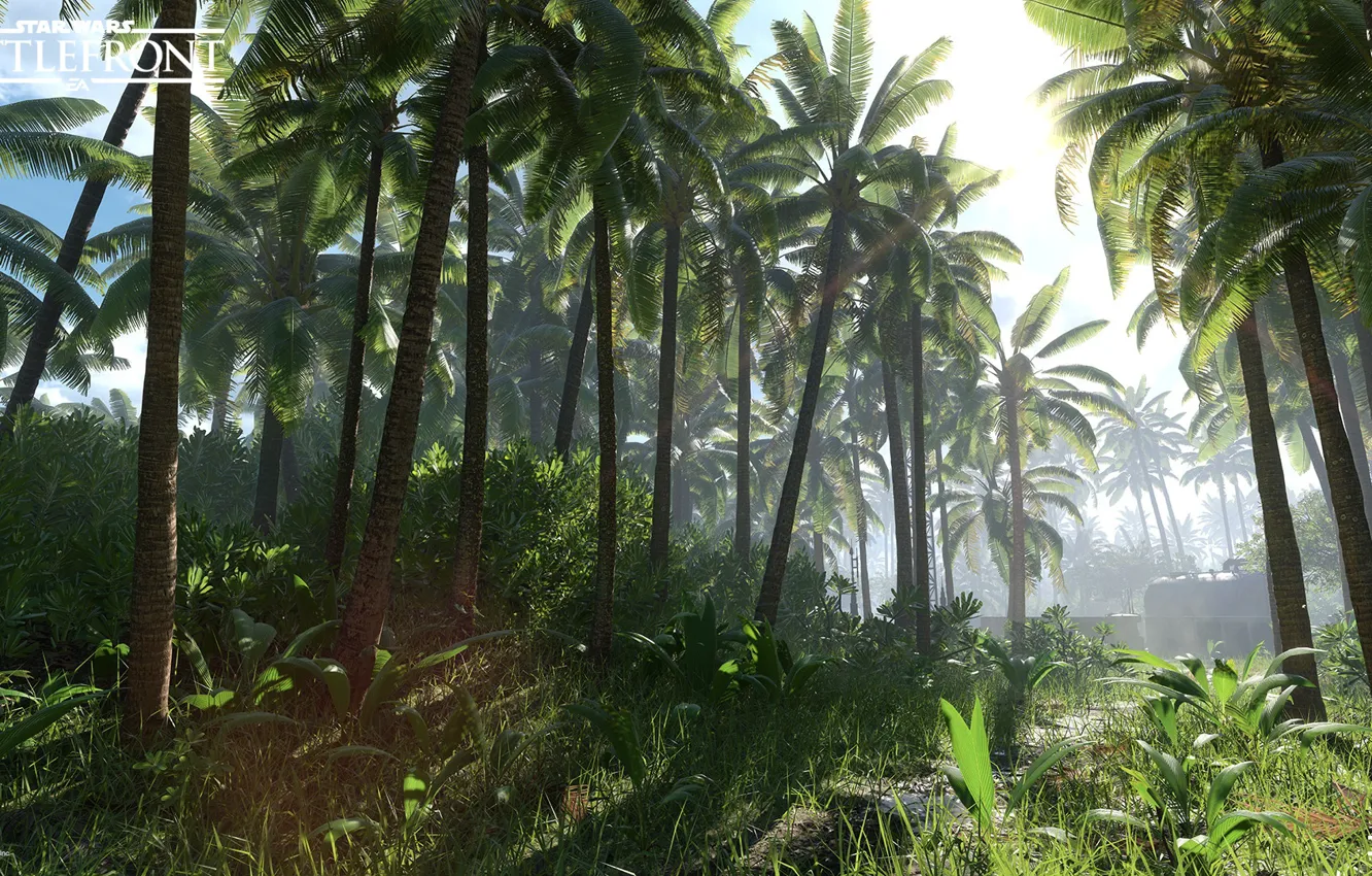 Wallpaper nature, palm trees, vegetation, Star Wars Battlefront, Scarif ...