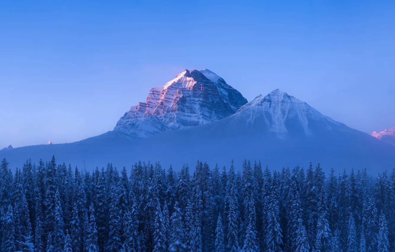 Wallpaper winter, snow, Canada, Albert, Alberta, Canada, winter, snow ...