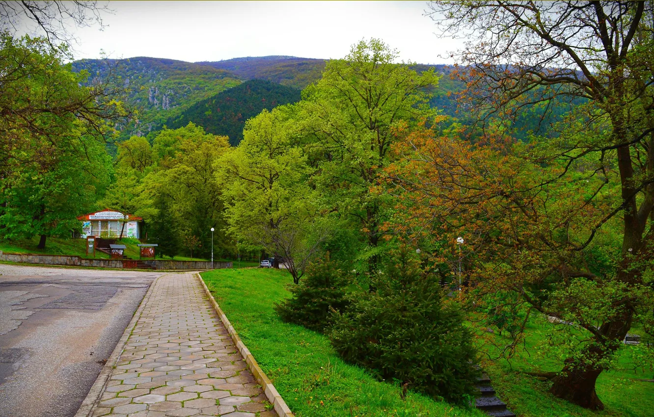 Wallpaper Road, Spring, Trees, Spring, Road, Trees for mobile and ...