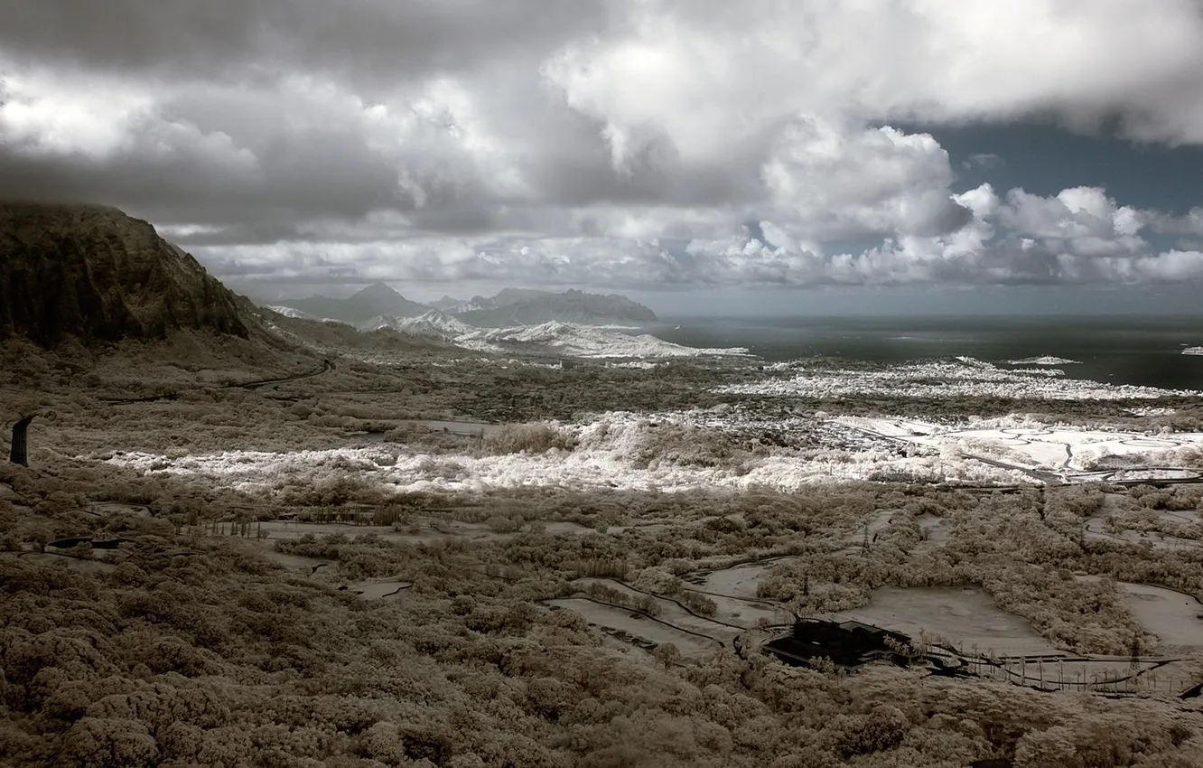 Wallpaper sea, the sky, night, tropics, palm trees, the ocean, infrared ...