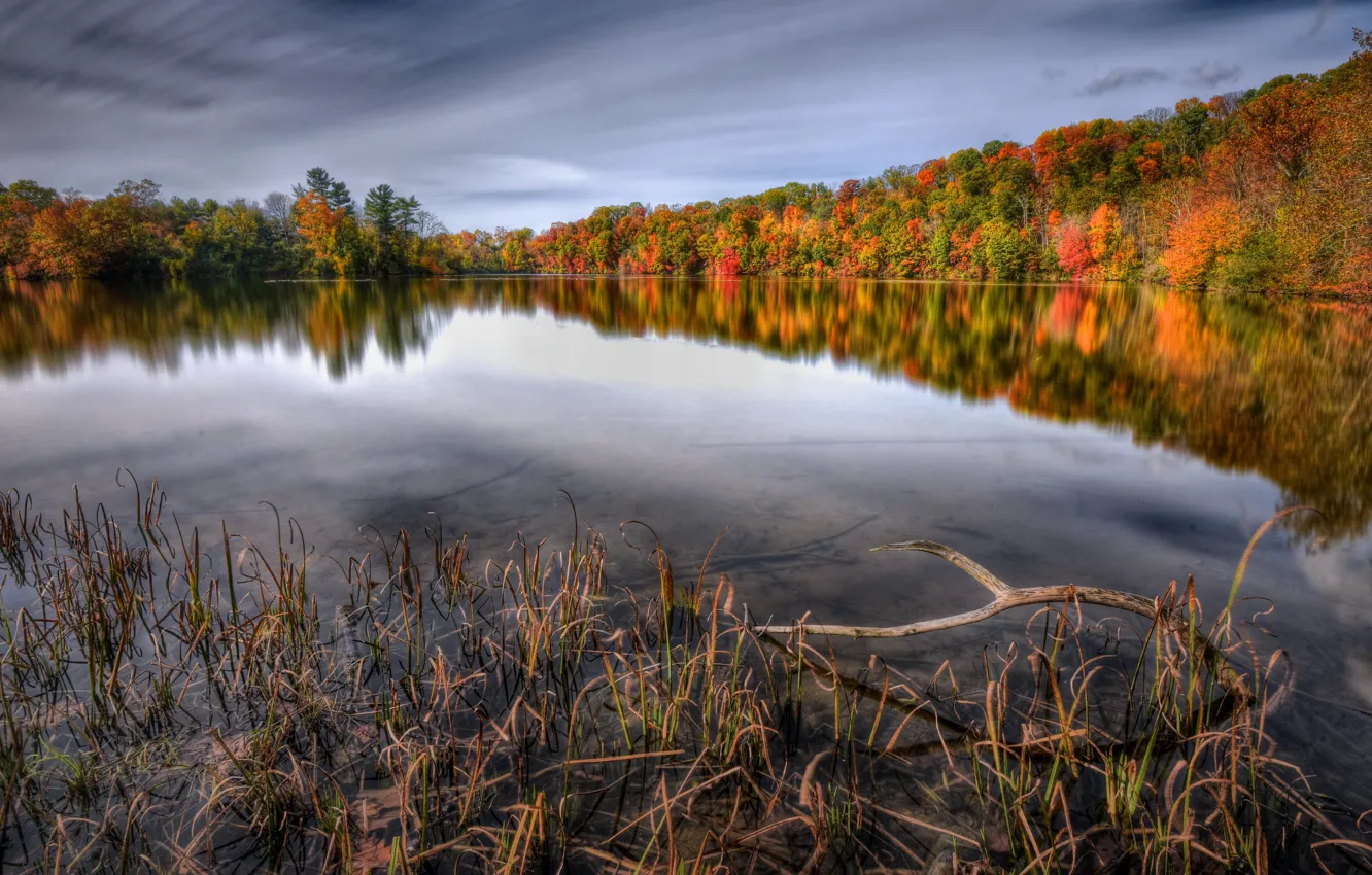 Wallpaper autumn, forest, lake for mobile and desktop, section пейзажи ...