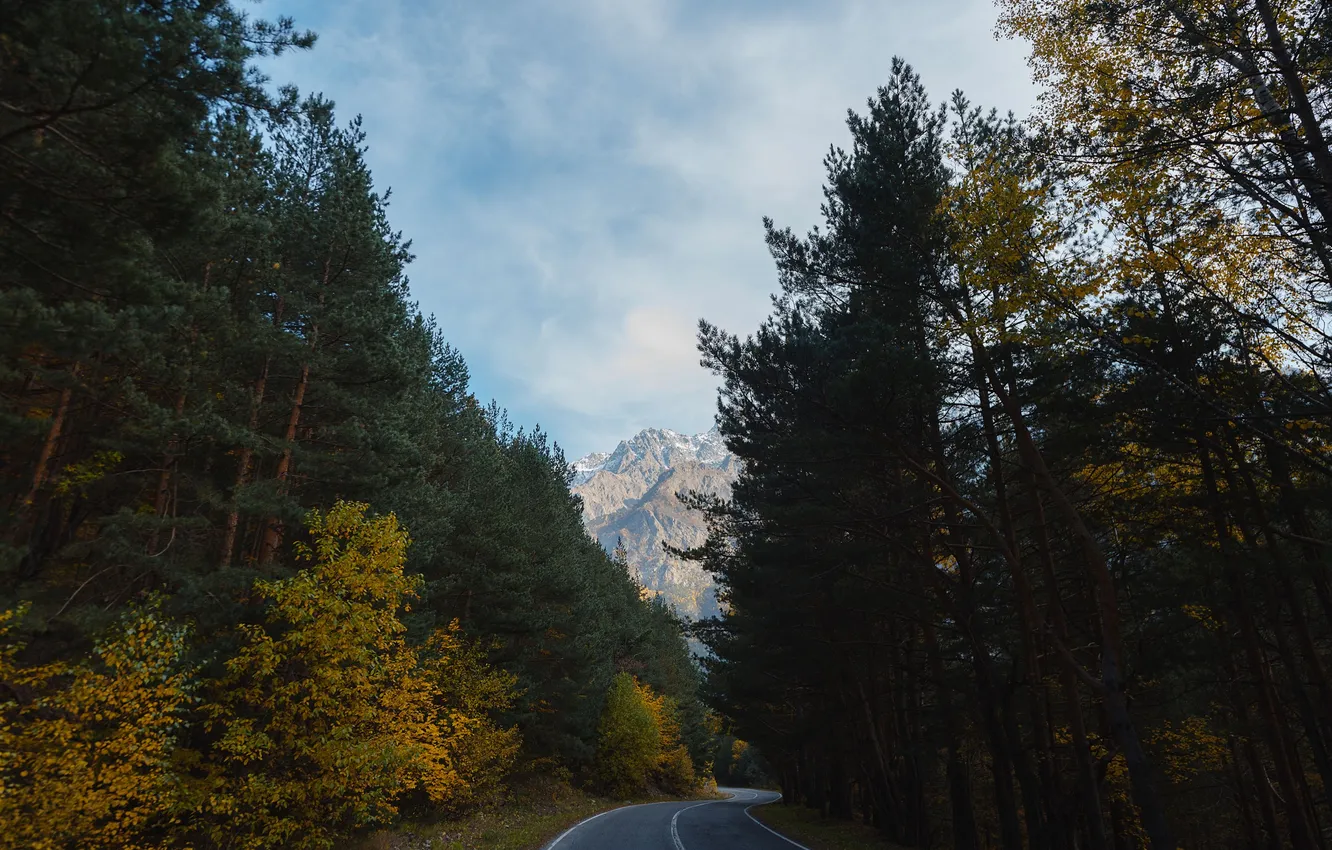 Wallpaper landscape, nature, Batraz Tabuev, The road to the mountains ...