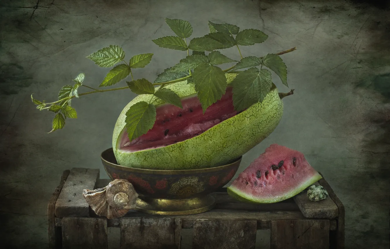 Wallpaper leaves, watermelon, shell for mobile and desktop, section еда ...