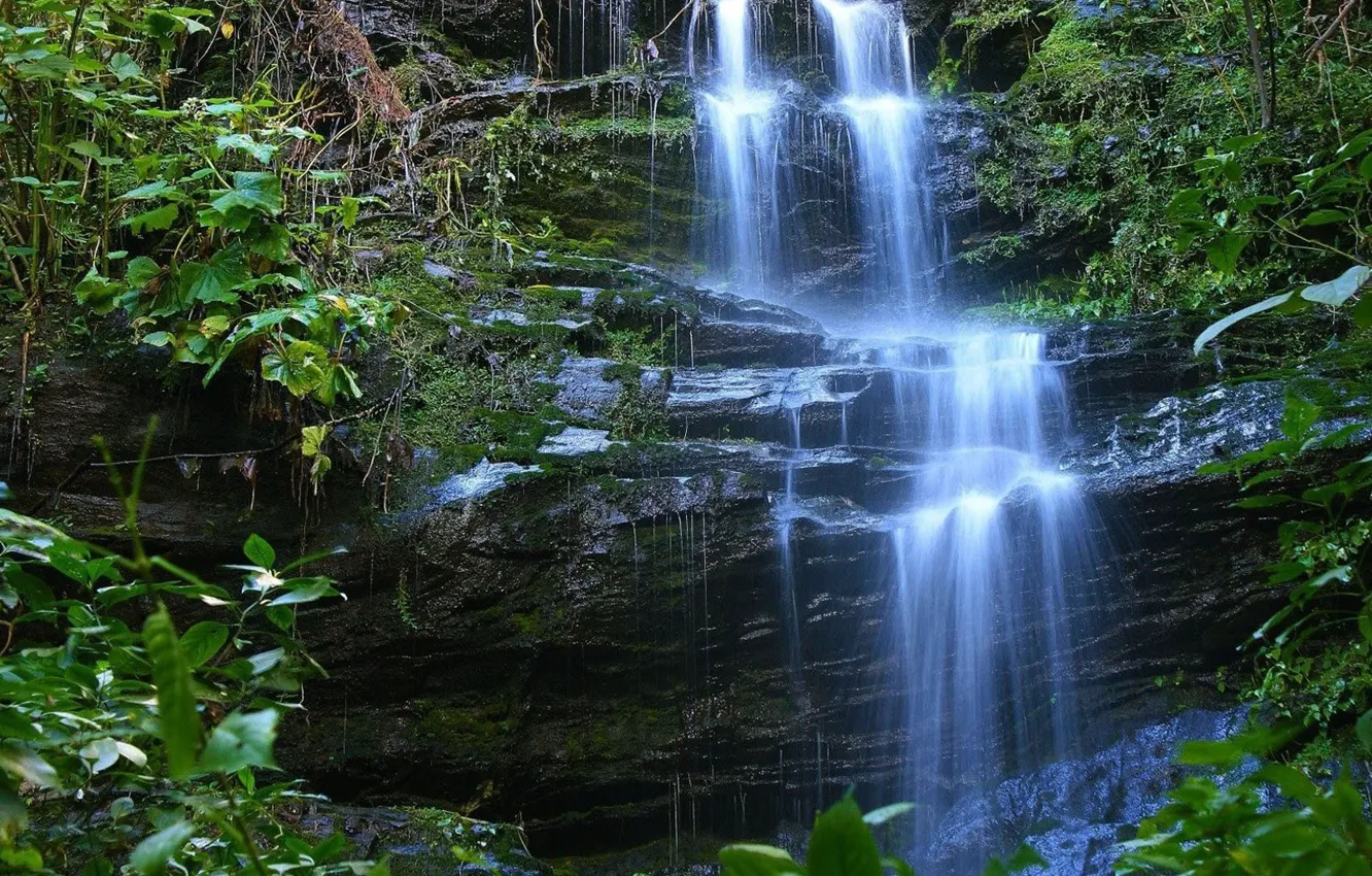 Wallpaper Rock, Waterfall, Forest for mobile and desktop, section ...