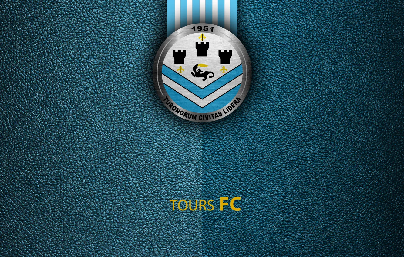 Wallpaper wallpaper, sport, logo, football, Ligue 1, Towers for mobile ...