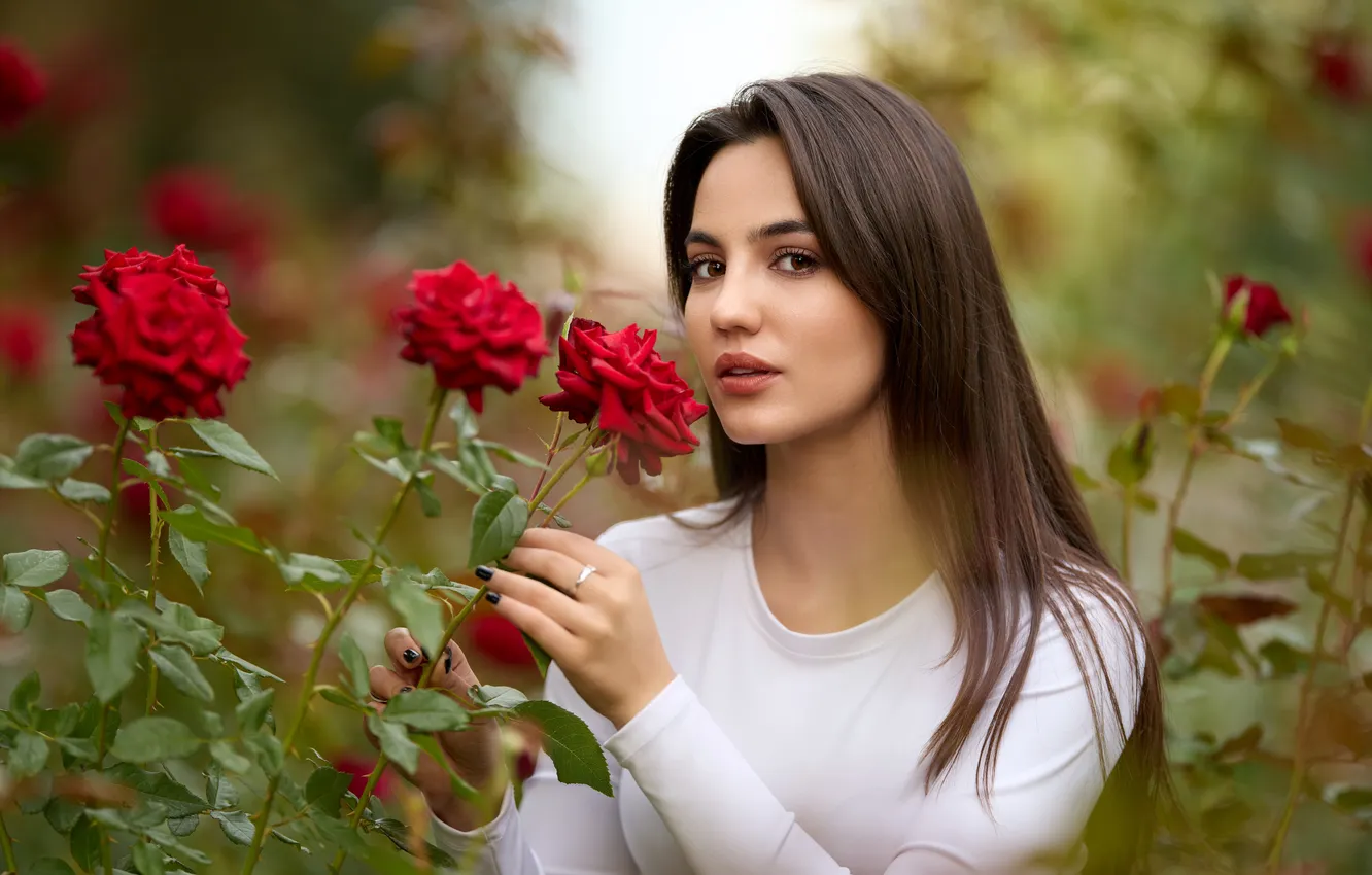 Wallpaper girl, portrait, roses for mobile and desktop, section девушки ...