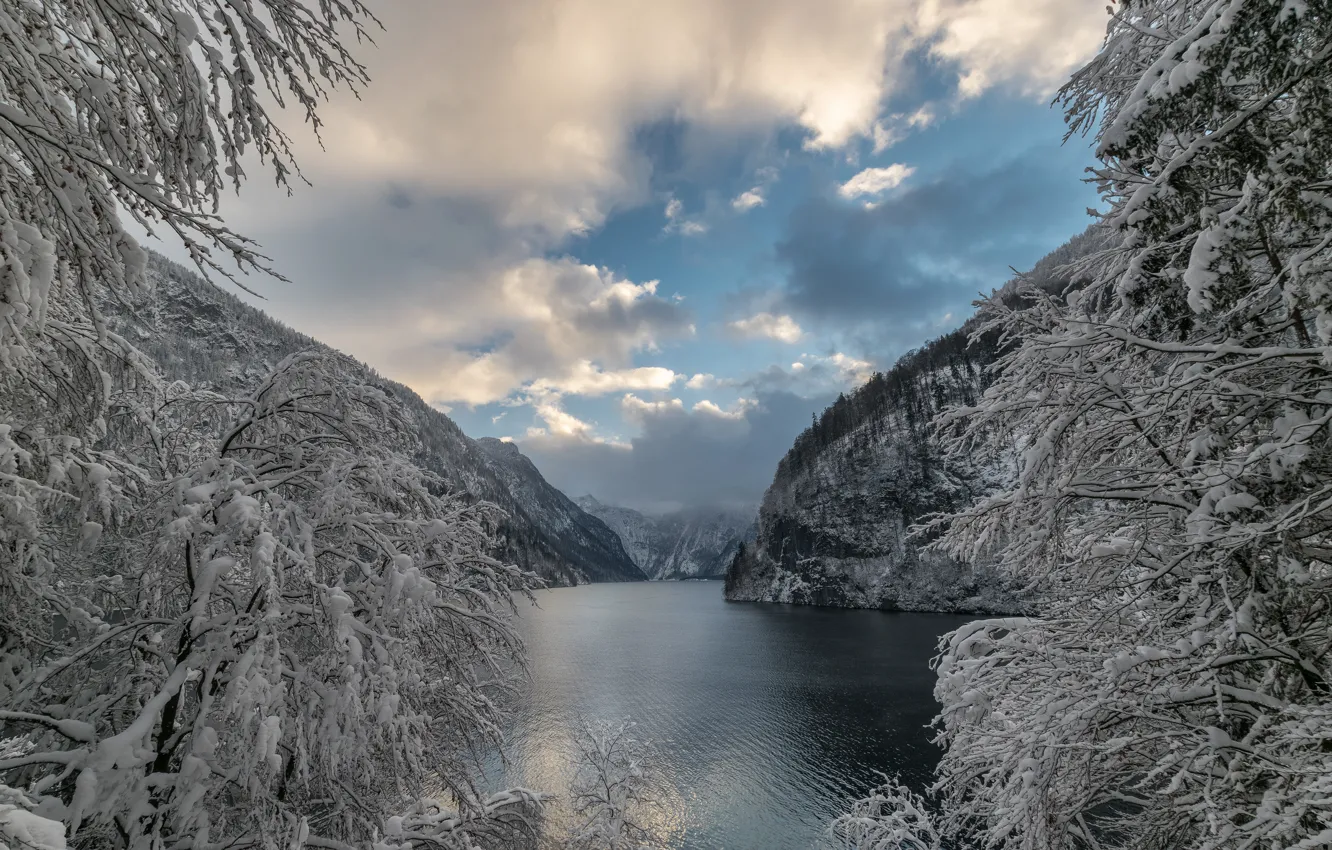 Wallpaper winter, snow, trees, mountains, branches, lake, Germany ...