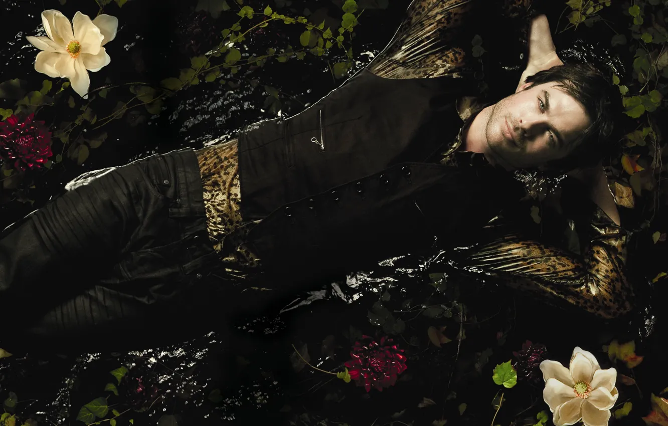Wallpaper look, water, flowers, smile, the series, guy, actor, Damon ...