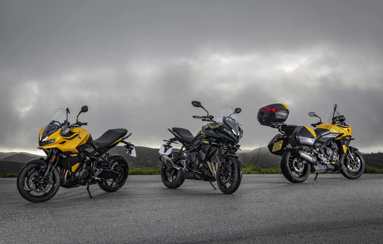 Wallpaper Tiger, tiger, Triumph, triumph, 800, 2025 for mobile and ...