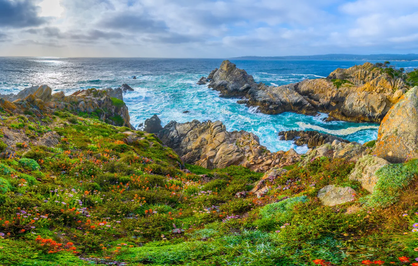 Wallpaper nature, rocks, coast, CA, USA, Trail Point Lobos for mobile ...