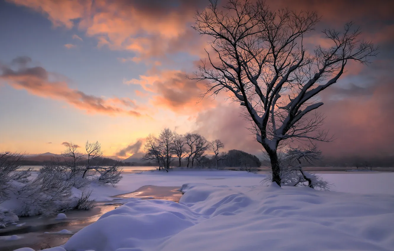 Wallpaper Fukushima, Lake Hibara, Bookshelf Legacy, Hosono for mobile ...