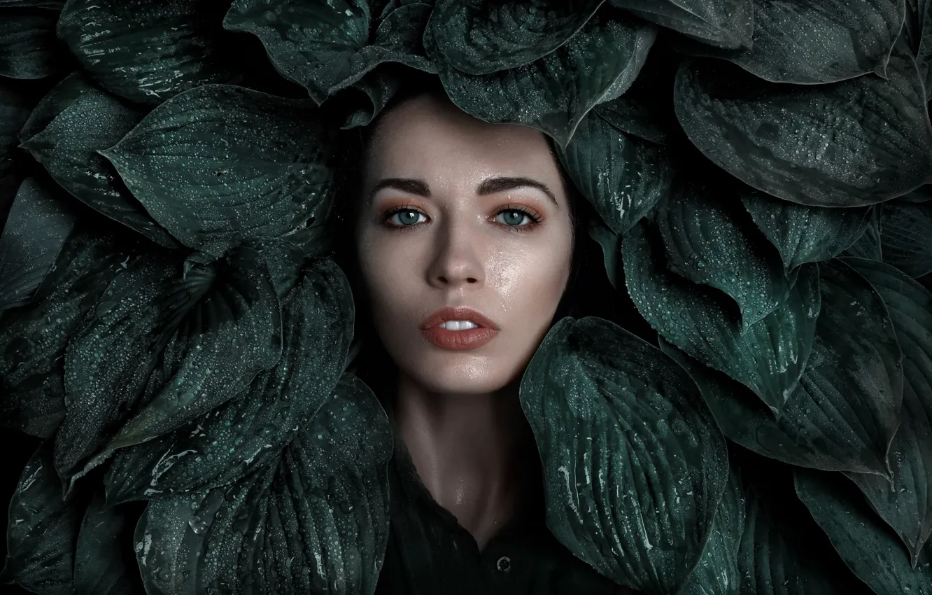 Wallpaper leaves, girl, drops, Ivan Ivanchenko, Natalya Garden for mobile and desktop, section ...