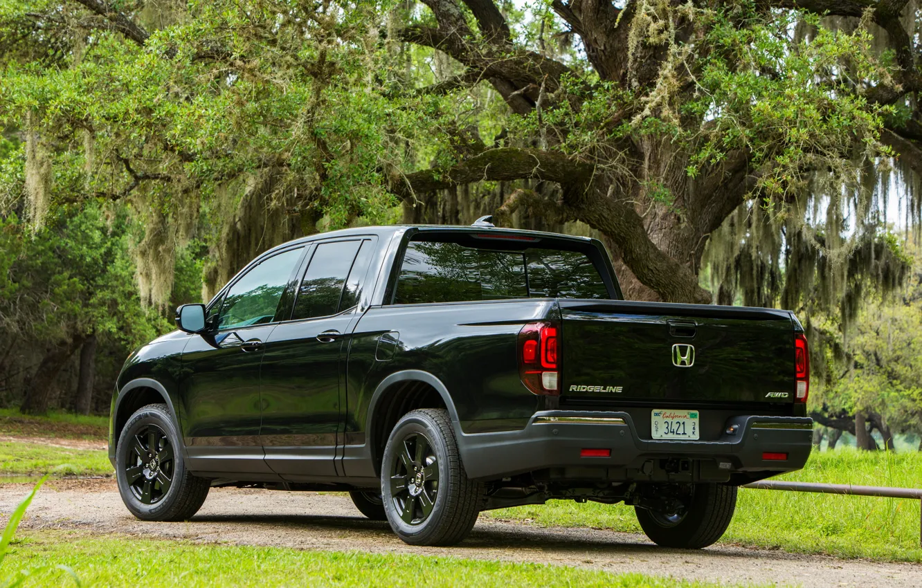 Wallpaper trees, black, back, Honda, side, pickup, Black Edition ...