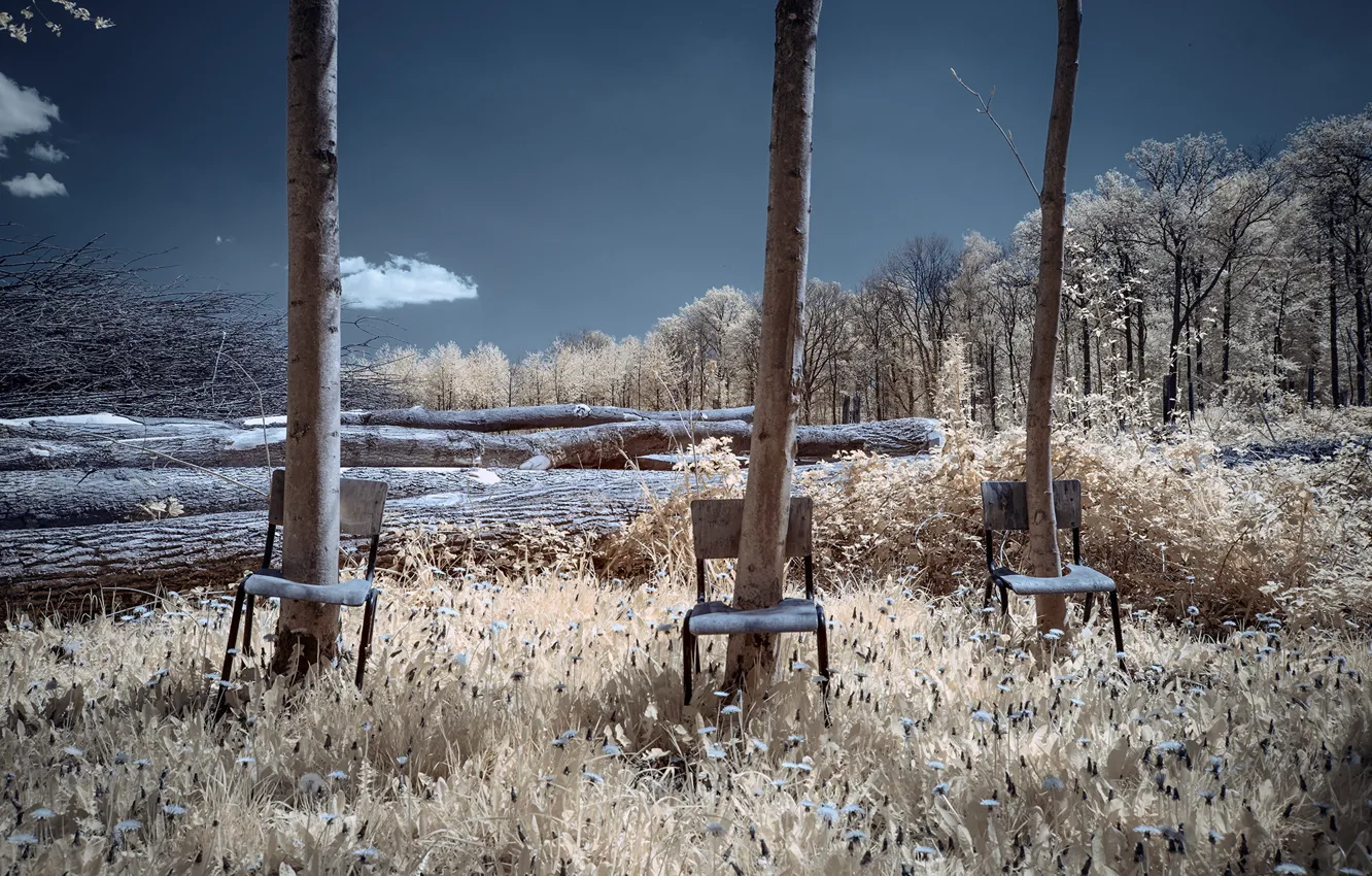 Wallpaper trees, nature, chairs for mobile and desktop, section ...
