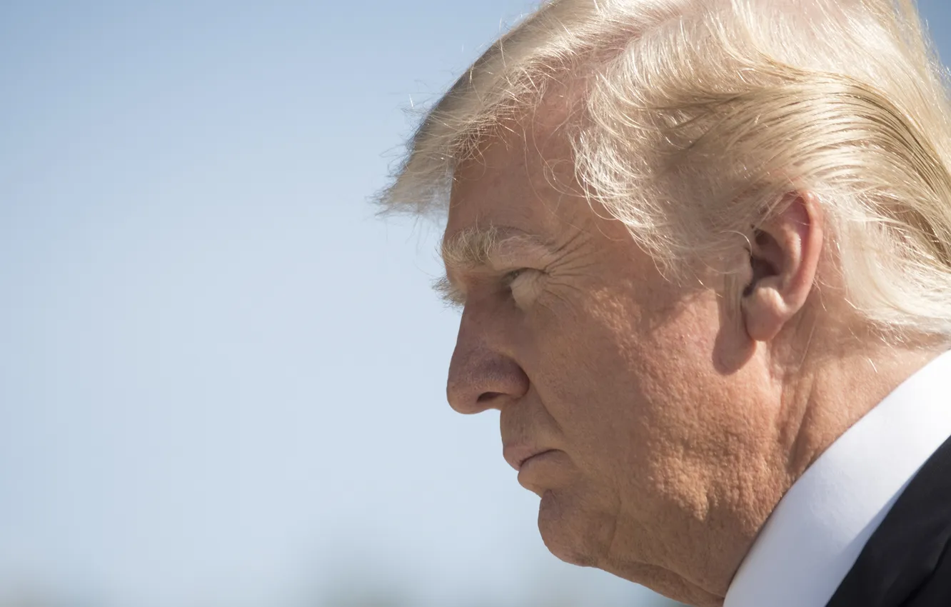 Wallpaper United States, power, Donald Trump for mobile and desktop ...