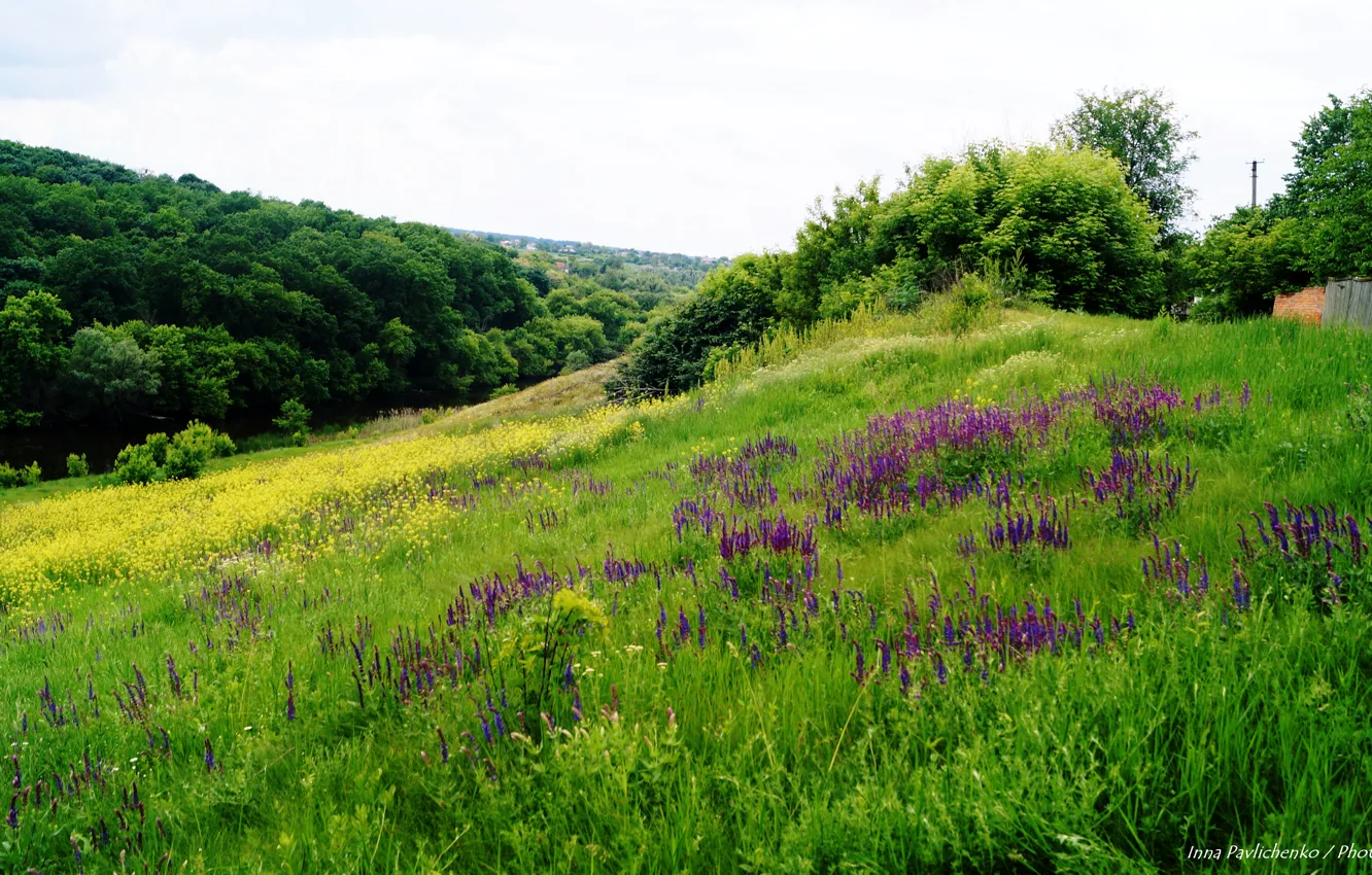 Wallpaper field, mountain, Ukraine for mobile and desktop, section ...