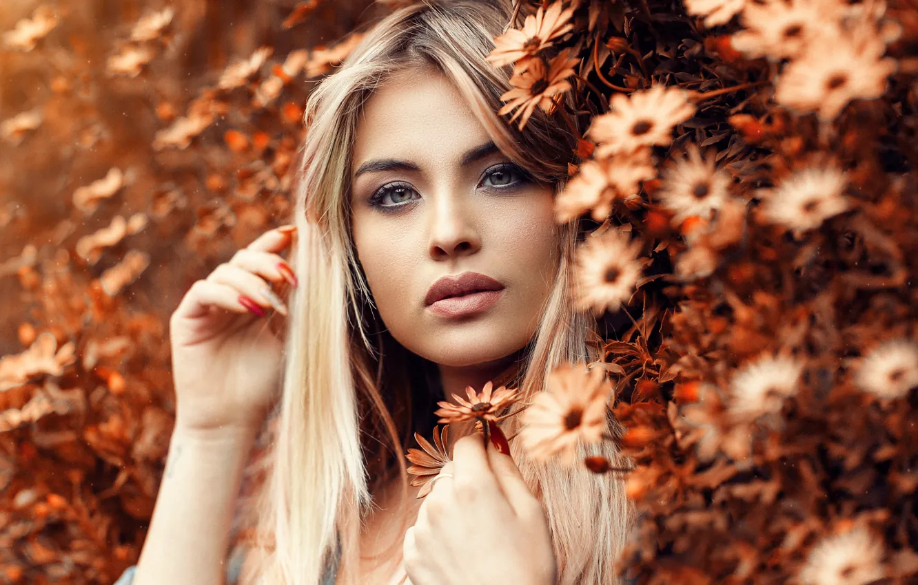 Wallpaper girl, flowers, face, makeup, blonde, Alessandro Di Cicco for ...