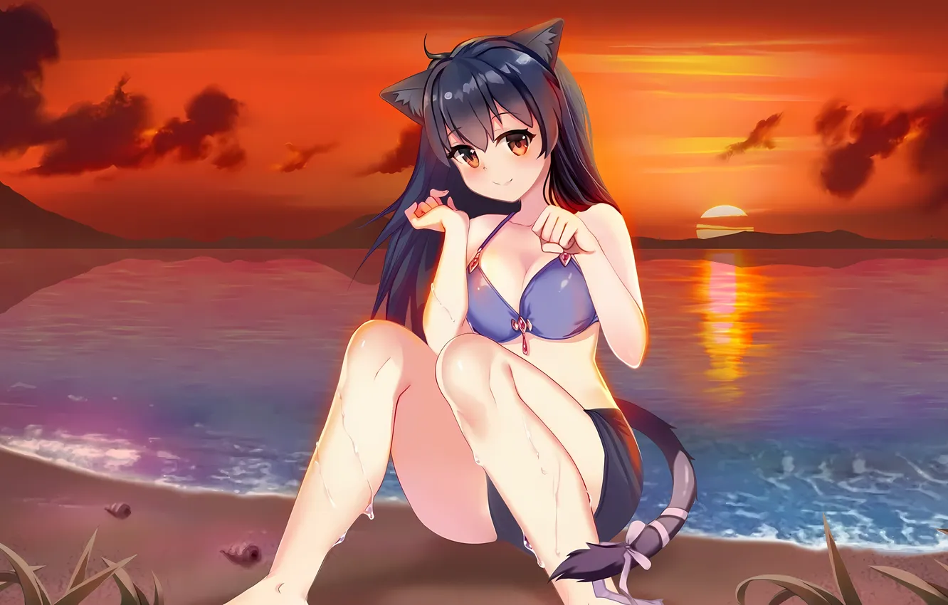 Wallpaper girl, sexy, game, wet, cleavage, beach, shorts, long hair for mobile and desktop ...