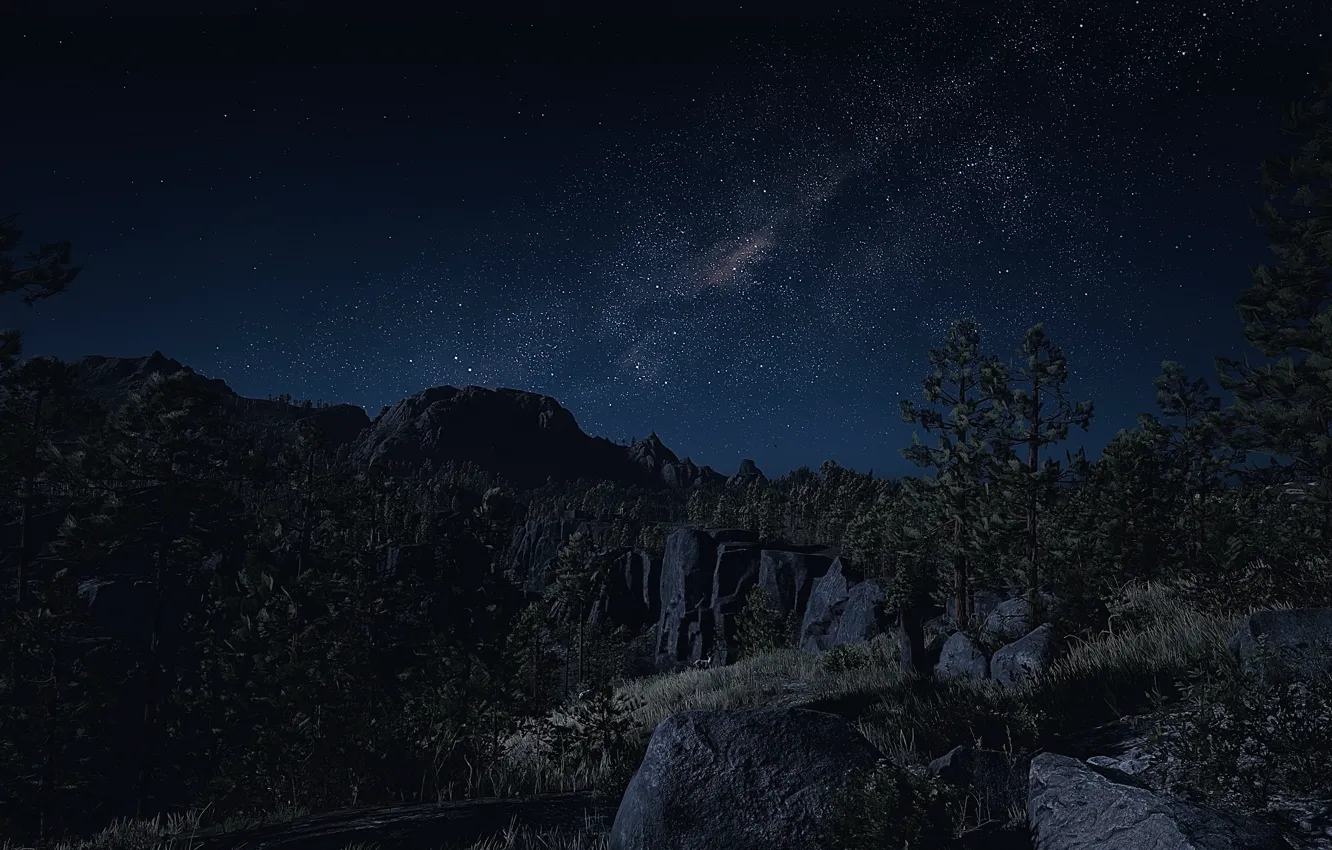 Wallpaper HDR, Nature, Sky, Stars, Wood, Tree, Night, Game, Milky Way ...