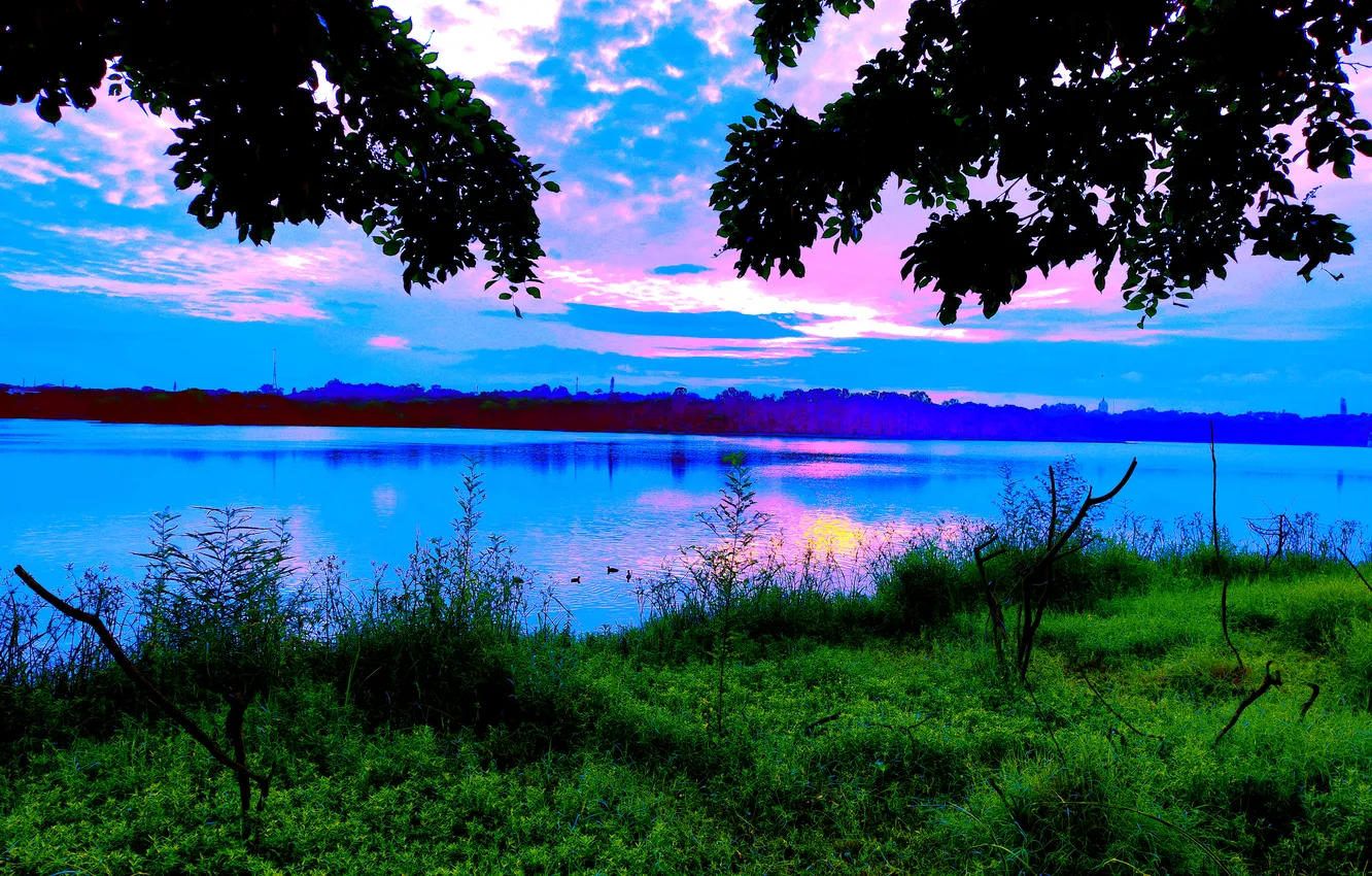 Wallpaper Sky, Grass, Water, Sunrise, Dawn, Morning, Lake, Trees for ...