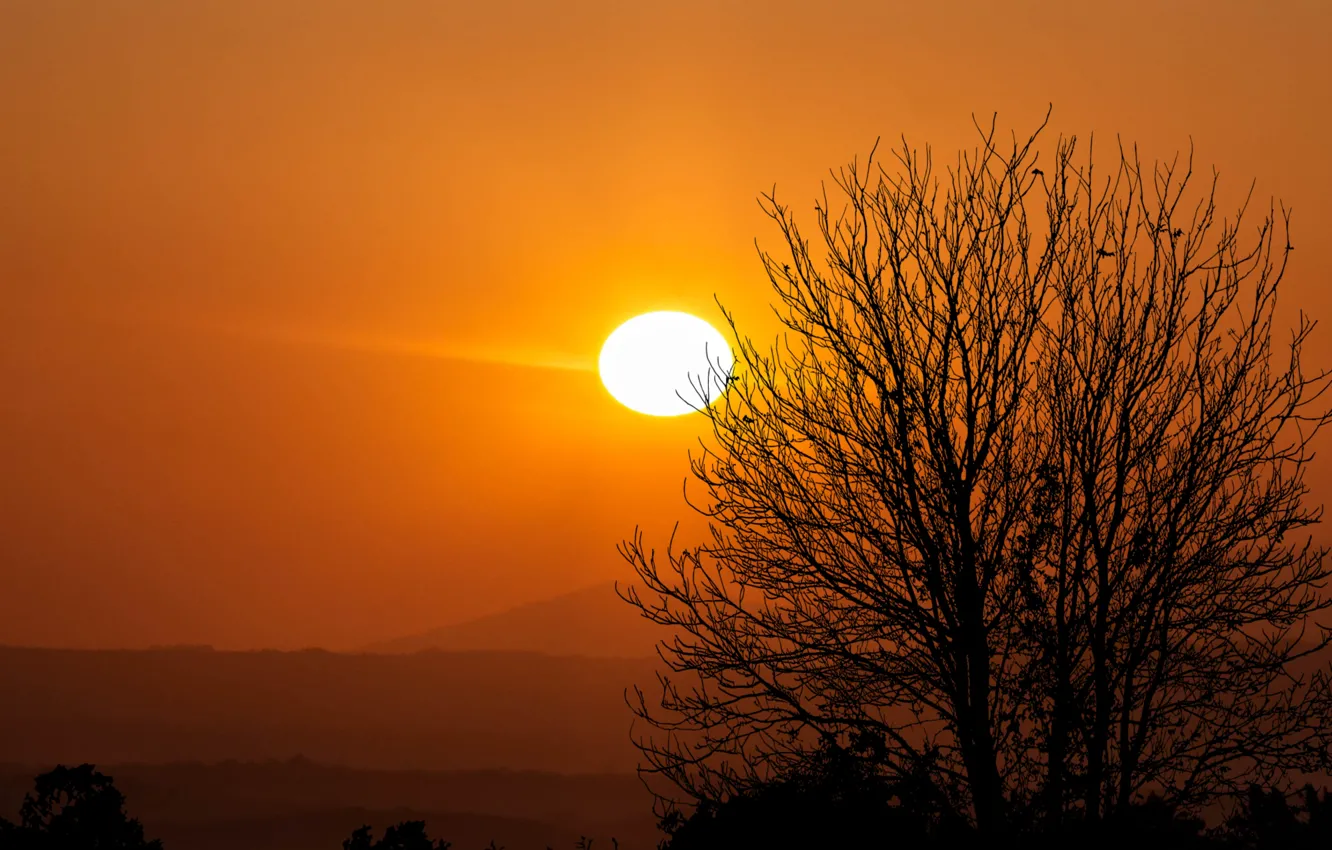 Wallpaper sky, trees, sunset, mountains, sight images for desktop ...