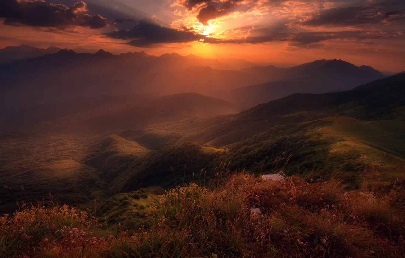 Wallpaper forest, the sun, clouds, sunset, mountains, fog, hills, dal ...