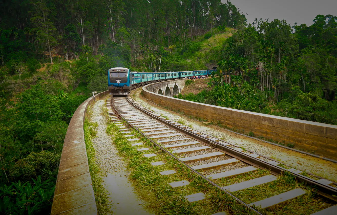 Wallpaper nature, people, man, thanujan, thanujan thanabalasingam ...