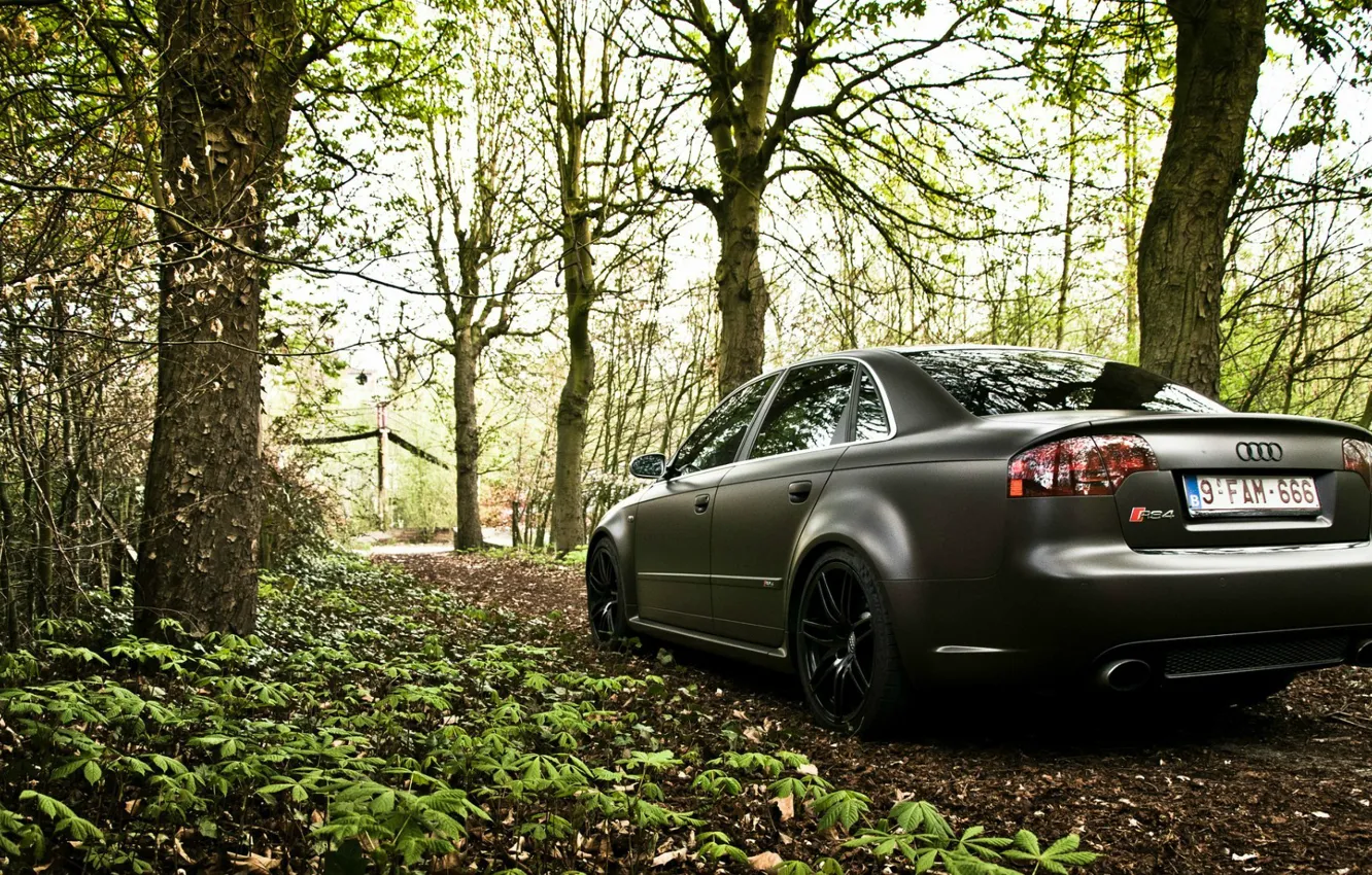 Wallpaper Audi, Audi, quattro, RS4, RS4 for mobile and desktop, section ...