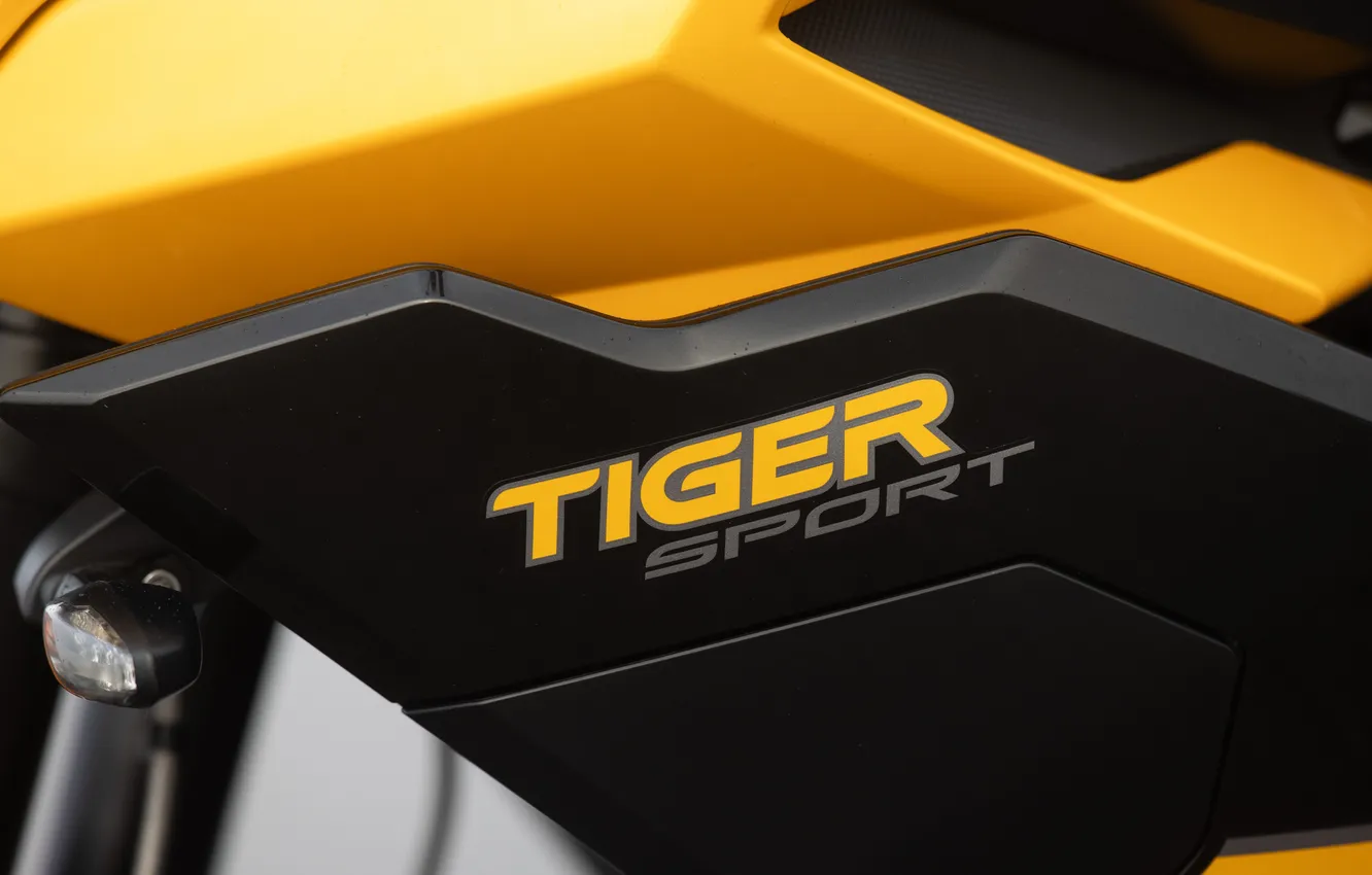 Wallpaper tiger, Triumph, 800, 2025 for mobile and desktop, section ...