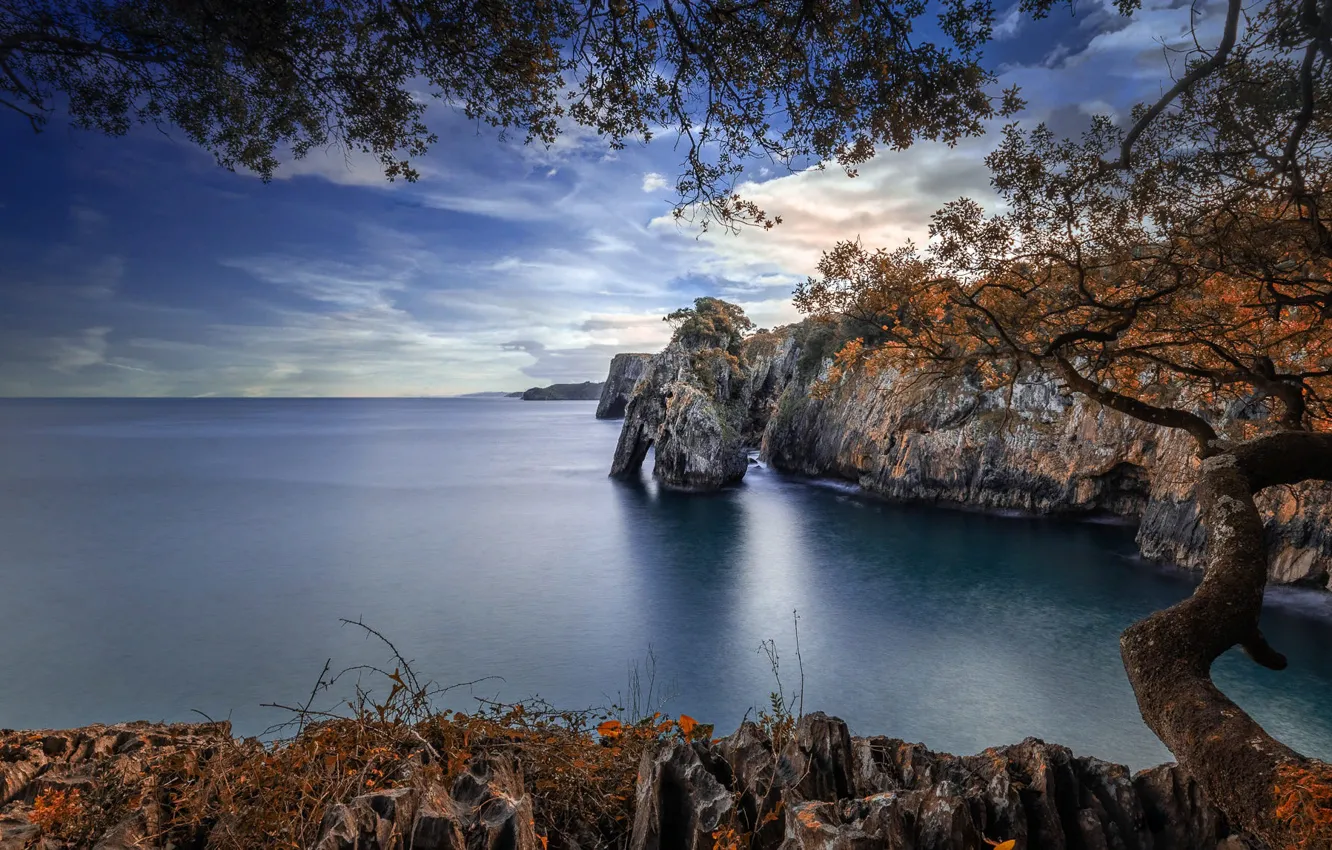 Wallpaper sea, autumn, landscape, nature, tree, rocks, Spain for mobile ...