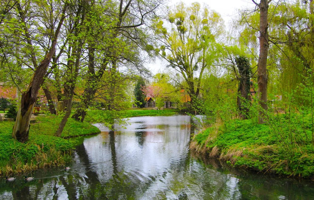 Wallpaper green, river, water, park, spring for mobile and desktop ...