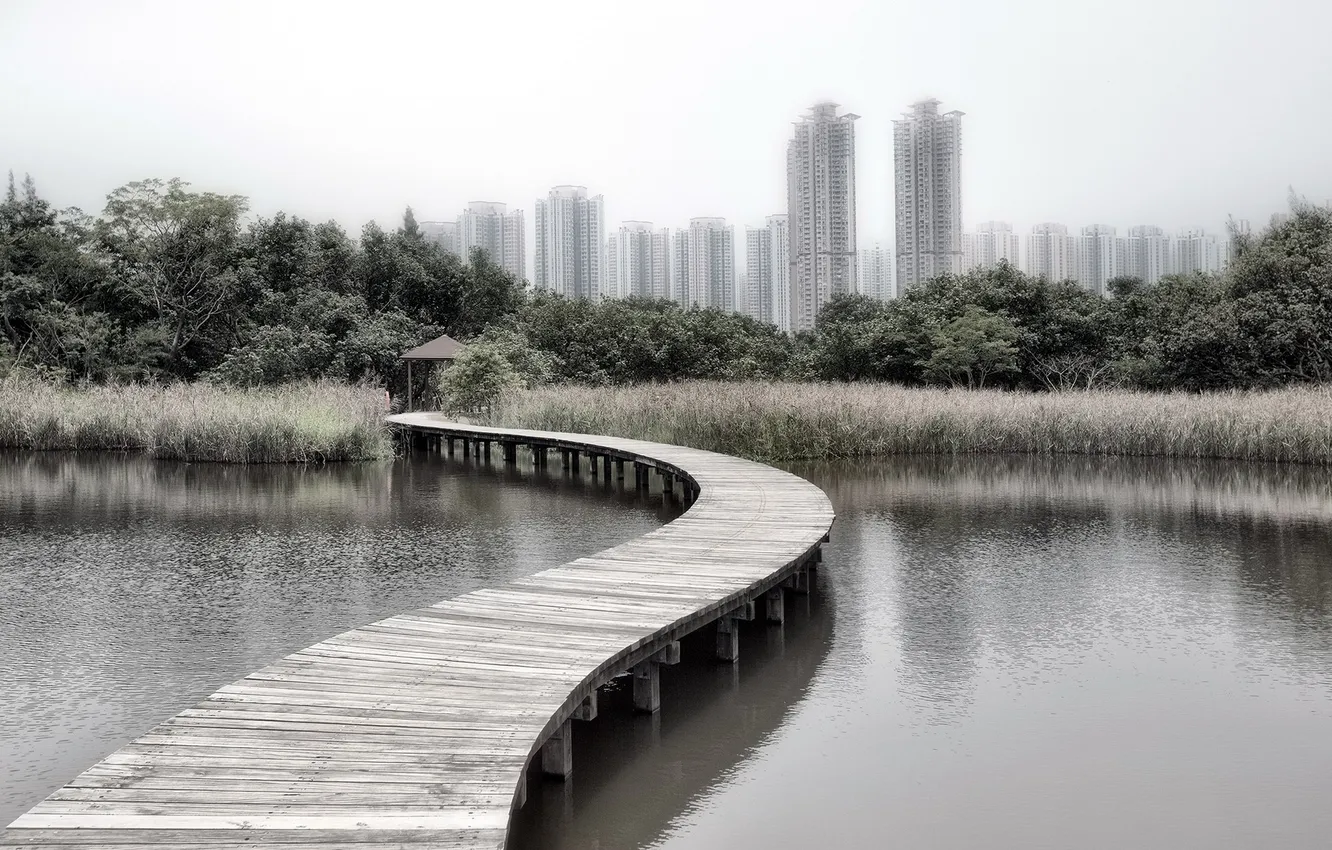 Wallpaper the city, Hong Kong, Wetland Park for mobile and desktop ...
