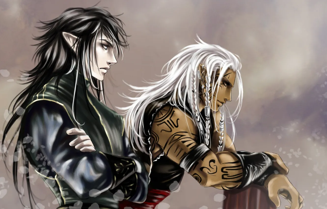 Wallpaper art, elves, profile, guys, two for mobile and desktop ...