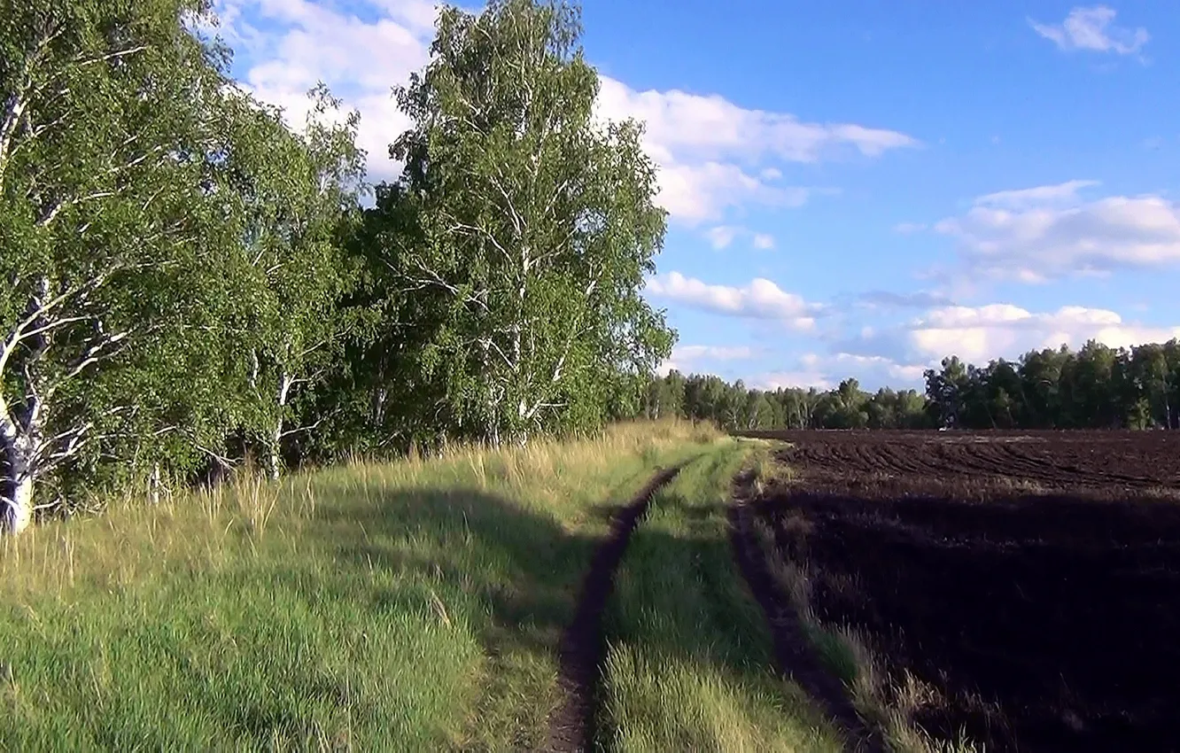 Wallpaper summer, earth, arable land, Russian field for mobile and ...