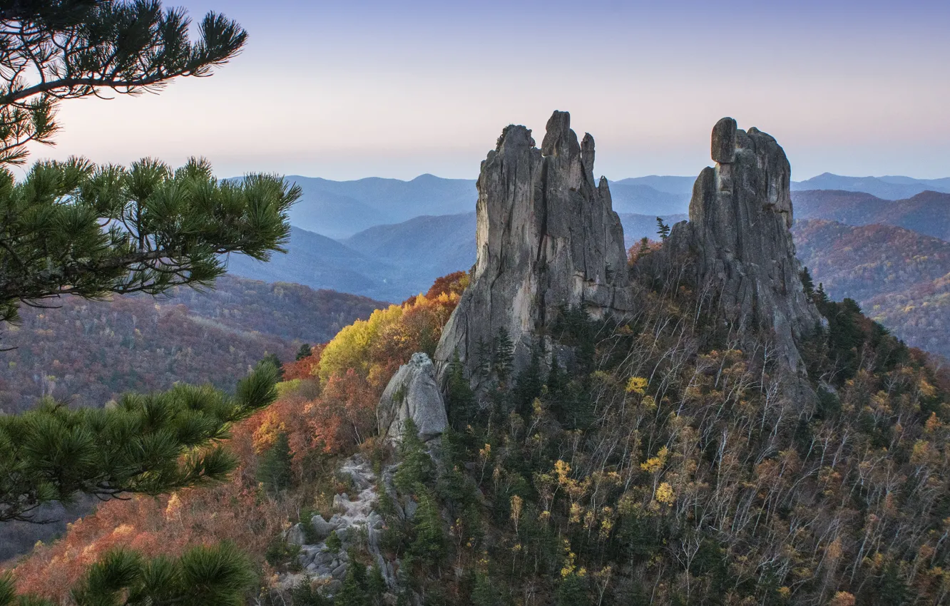 Wallpaper landscape, mountains, nature, forest, Sikhote-Alin for mobile ...